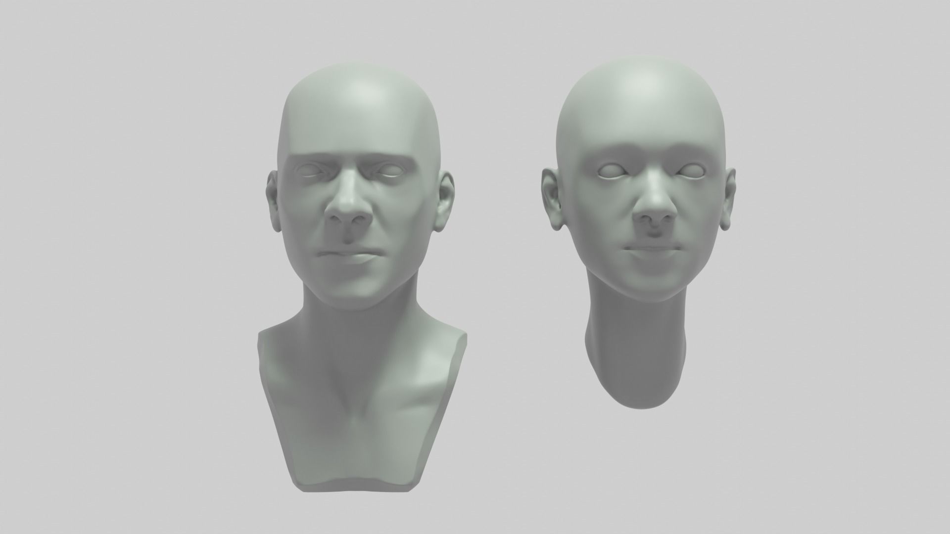 Male Female head free 3D model | CGTrader