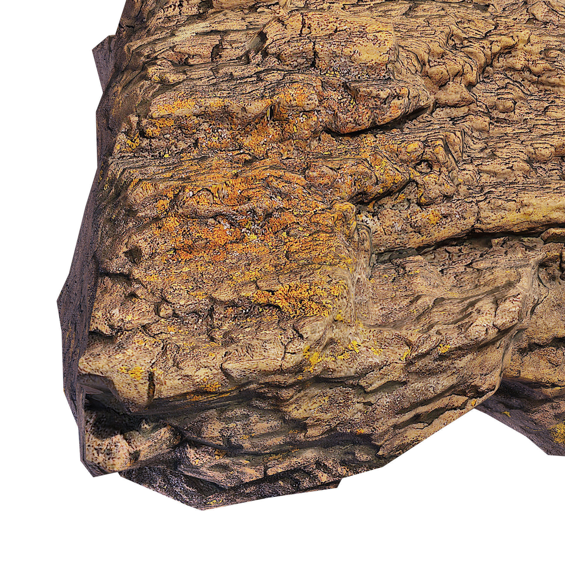 3D model Petrified Wood 1 VR / AR / low-poly | CGTrader