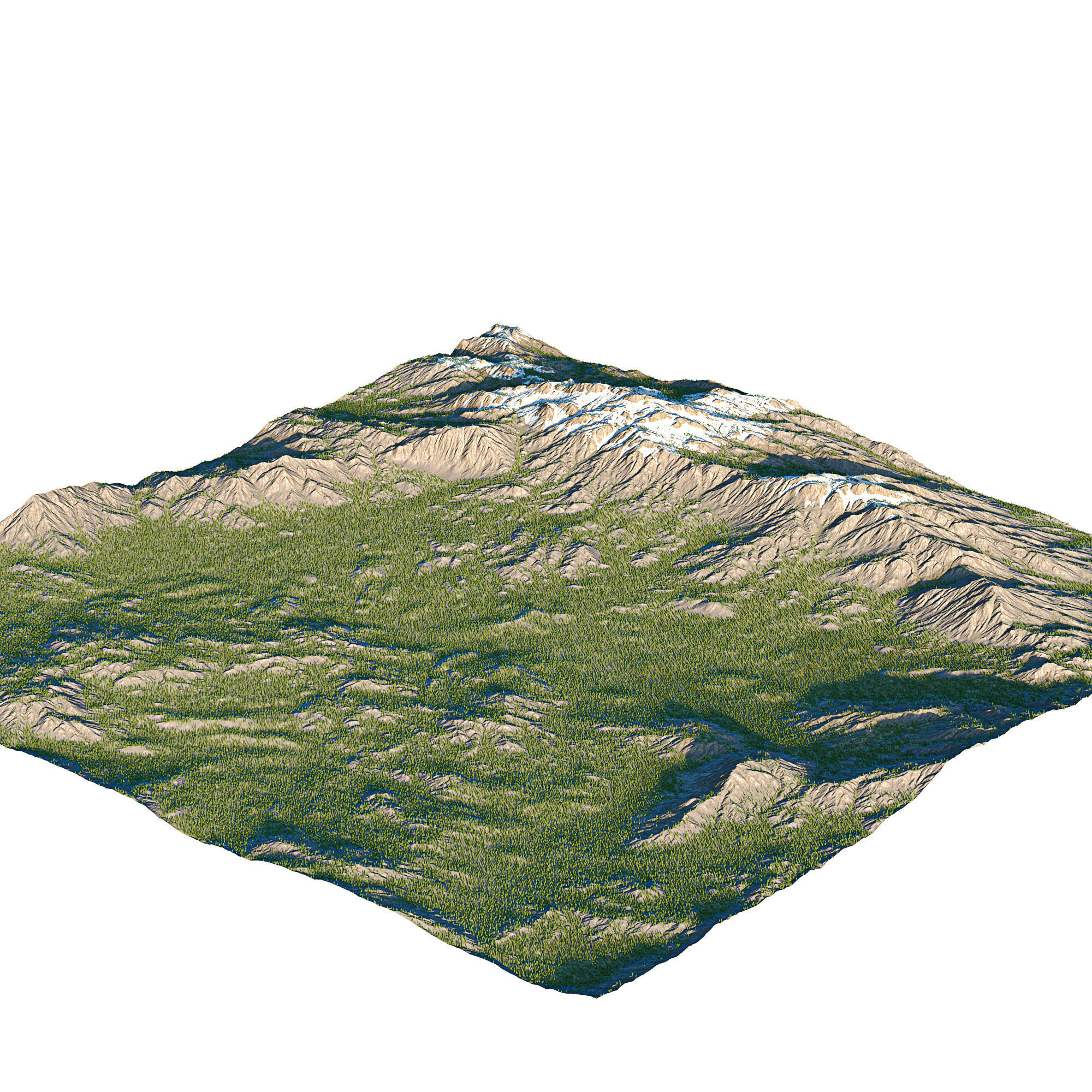 landscape01 engelmann spruce 3D model | CGTrader