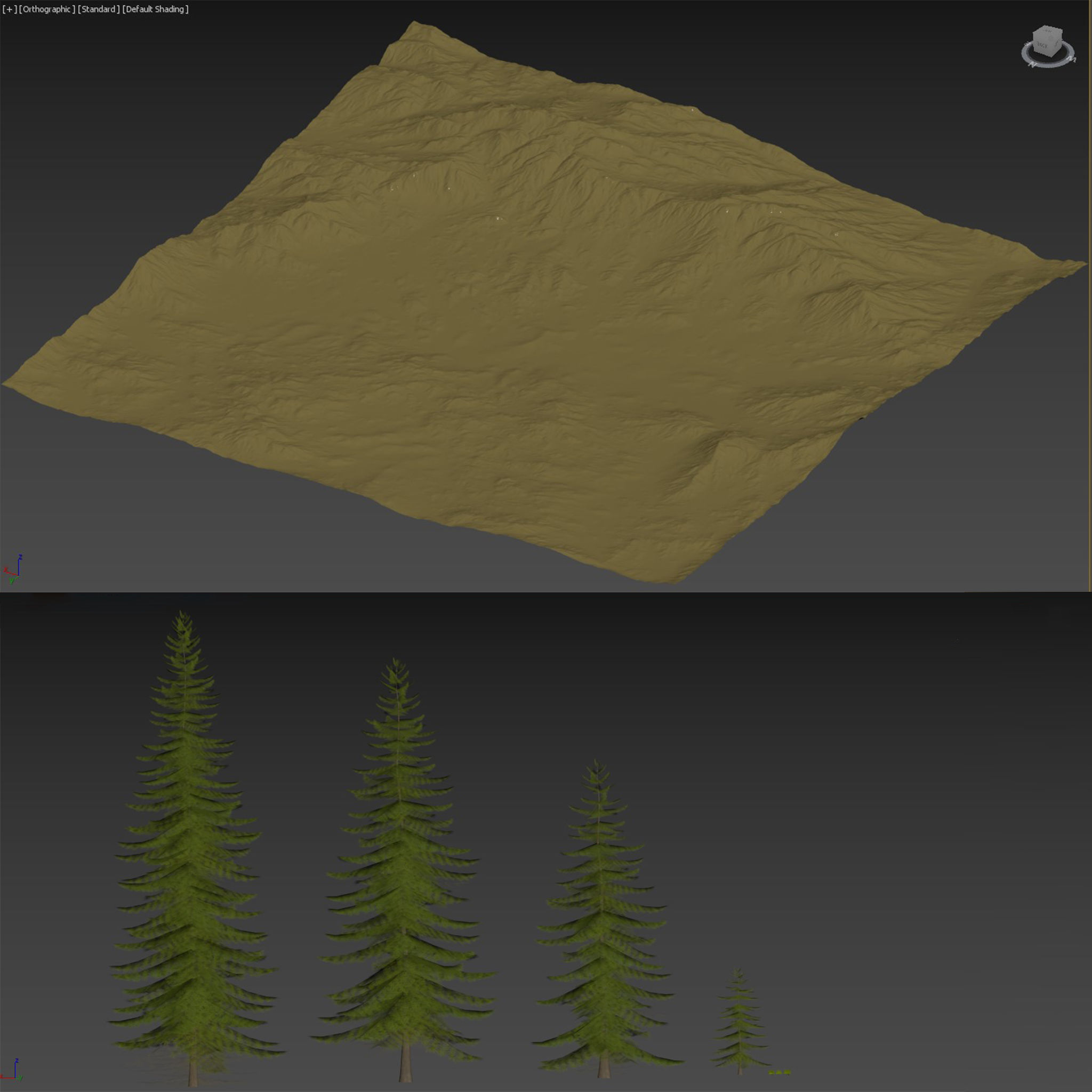 landscape01 engelmann spruce 3D model | CGTrader