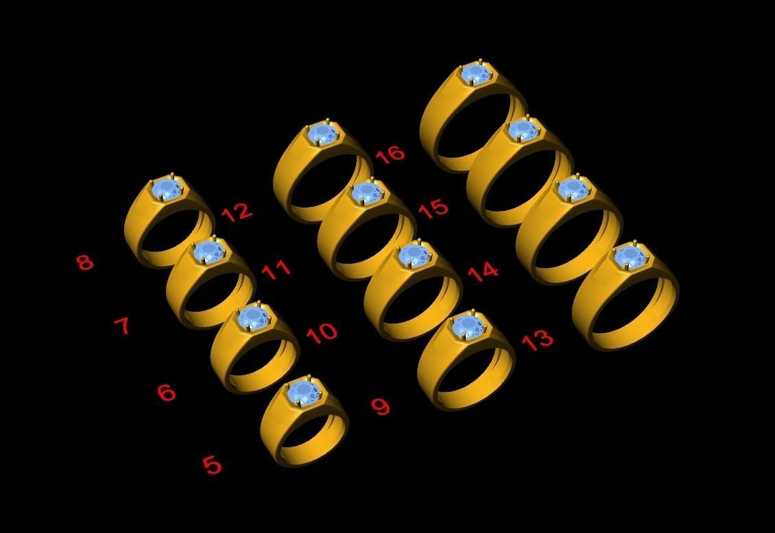 Ring with 12 different size US Signet 3D model | CGTrader