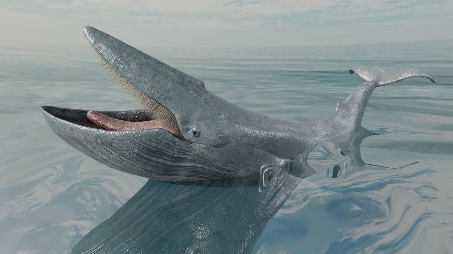 3D model Blue Whale Animated VR / AR / low-poly rigged animated | CGTrader