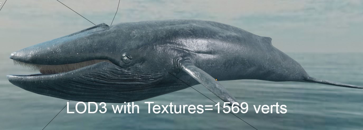 3D model Blue Whale Animated VR / AR / low-poly rigged animated | CGTrader
