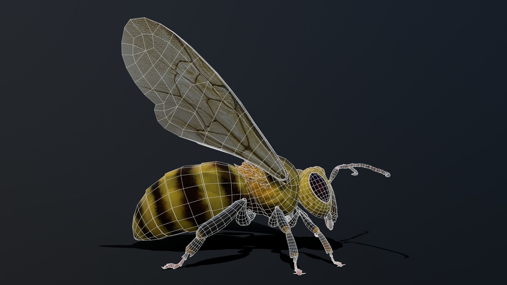 3D model Bee low poly 3D model VR / AR / low-poly | CGTrader