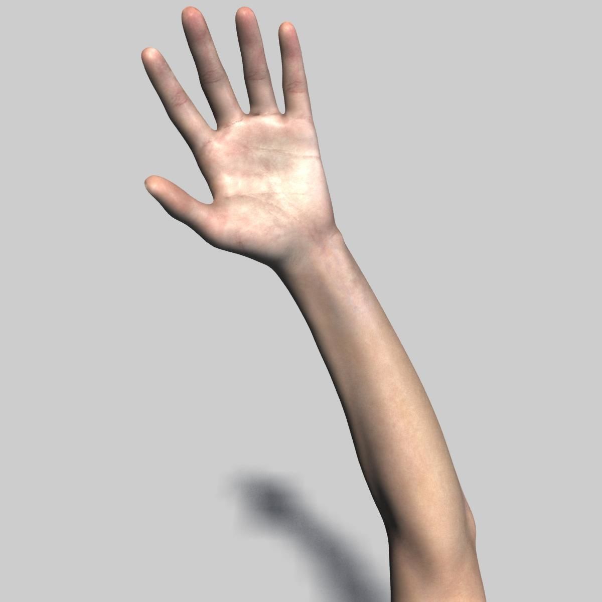 Chandra Female Character v1 3D model | CGTrader