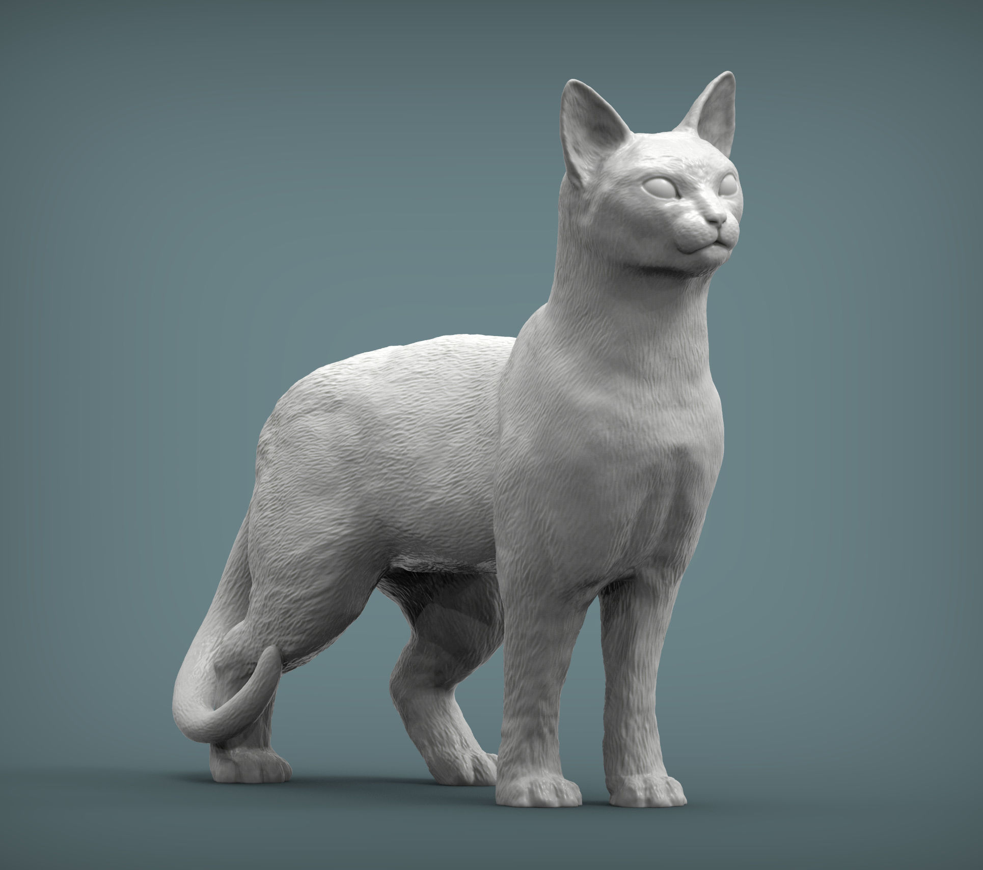 abyssinian cat 3D model 3D printable | CGTrader