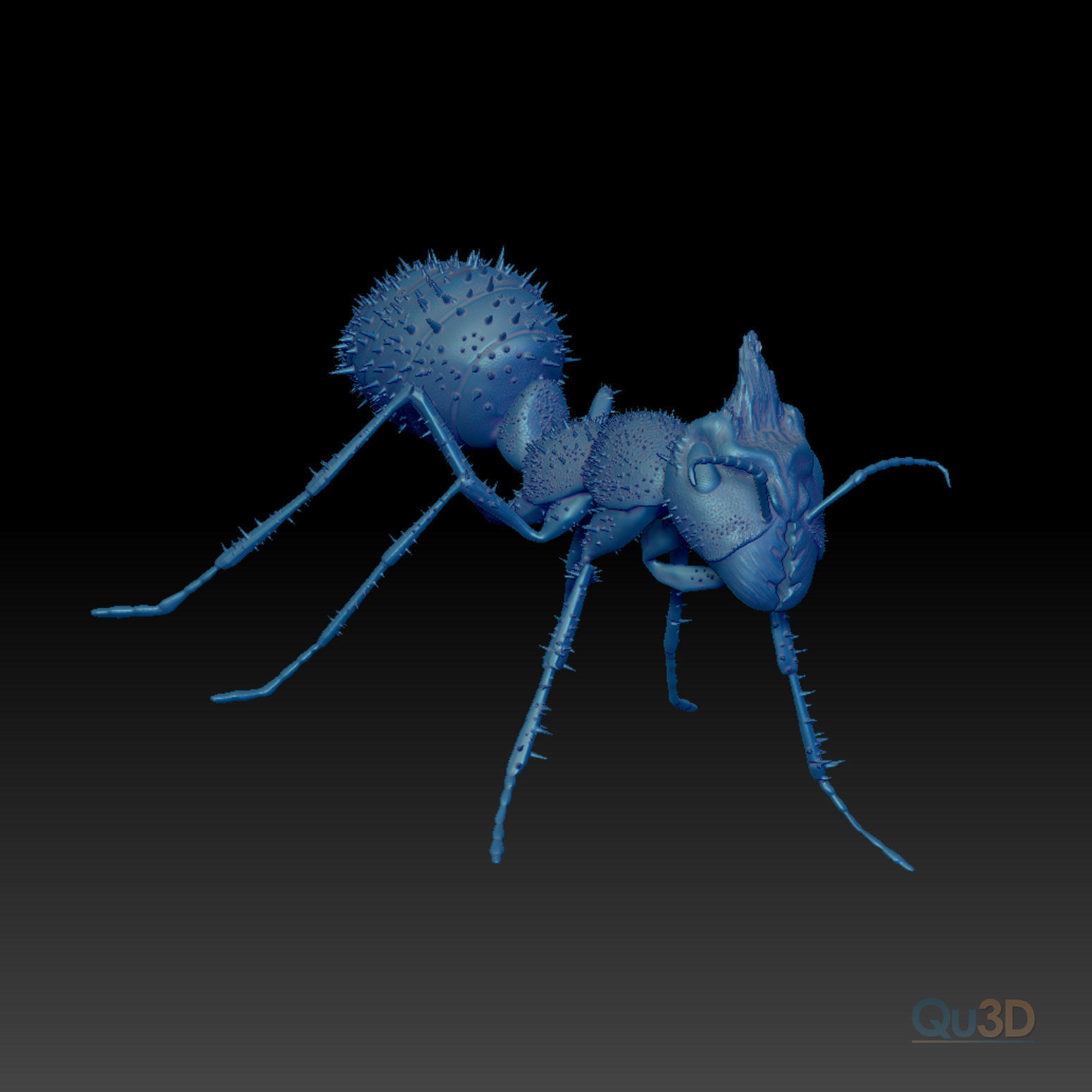 Ant 3D Type II 3D model 3D printable | CGTrader