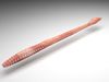 Straight Earthworm 3D model | CGTrader