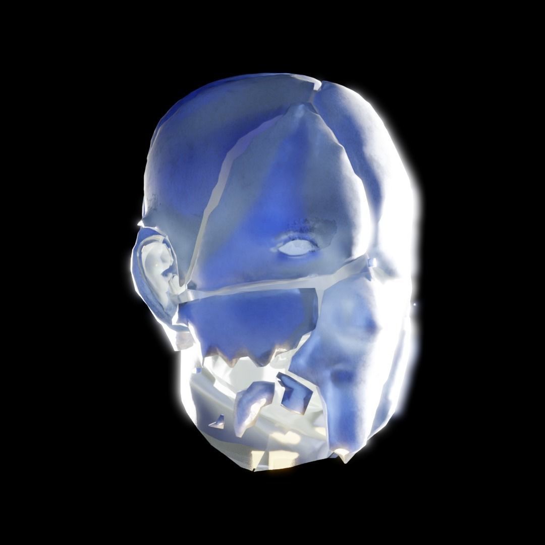 Fragmented Ice on Human Face 3D model | CGTrader