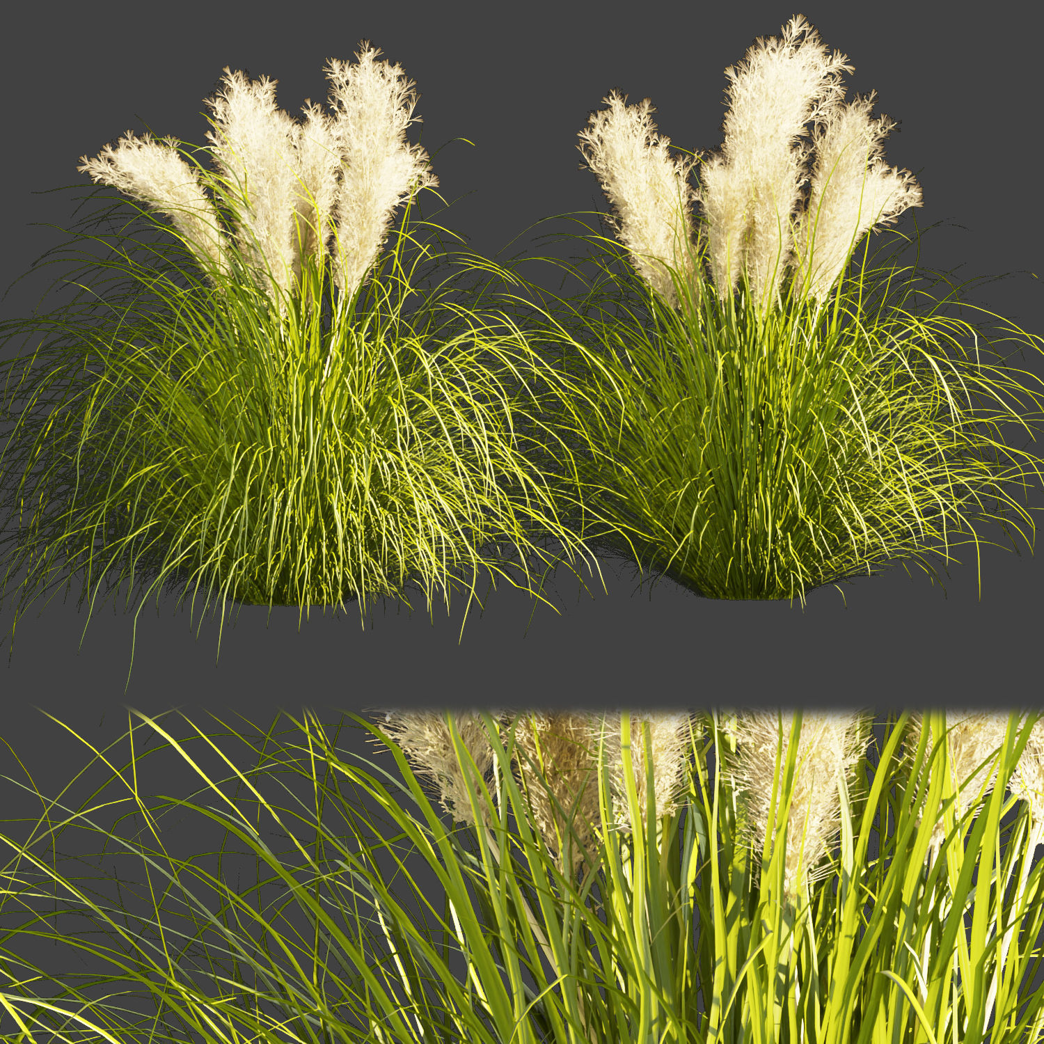 Collection plant vol 385 - grass - outdoor - foliage 3D model | CGTrader