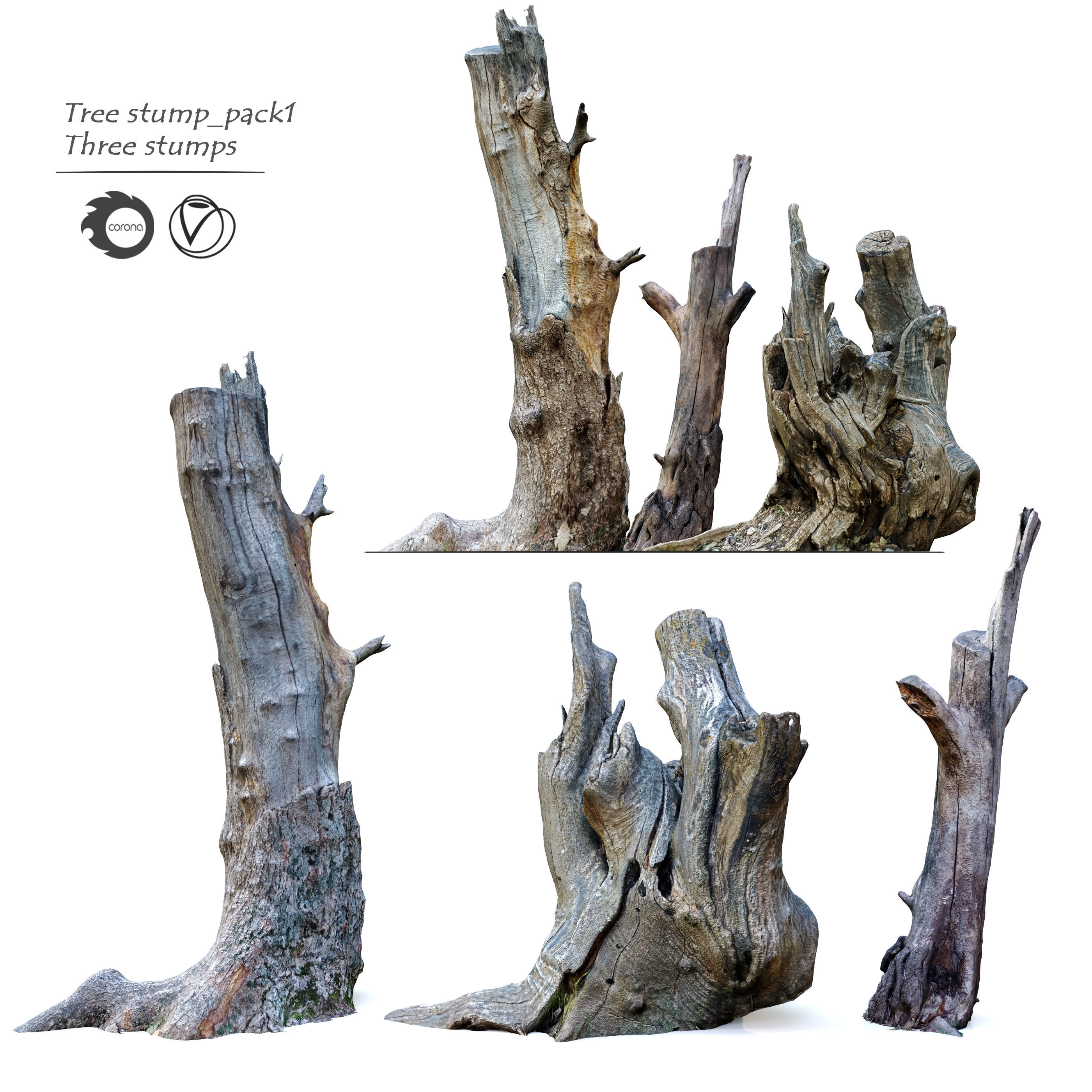 Tree stump pack 01 3D model | CGTrader