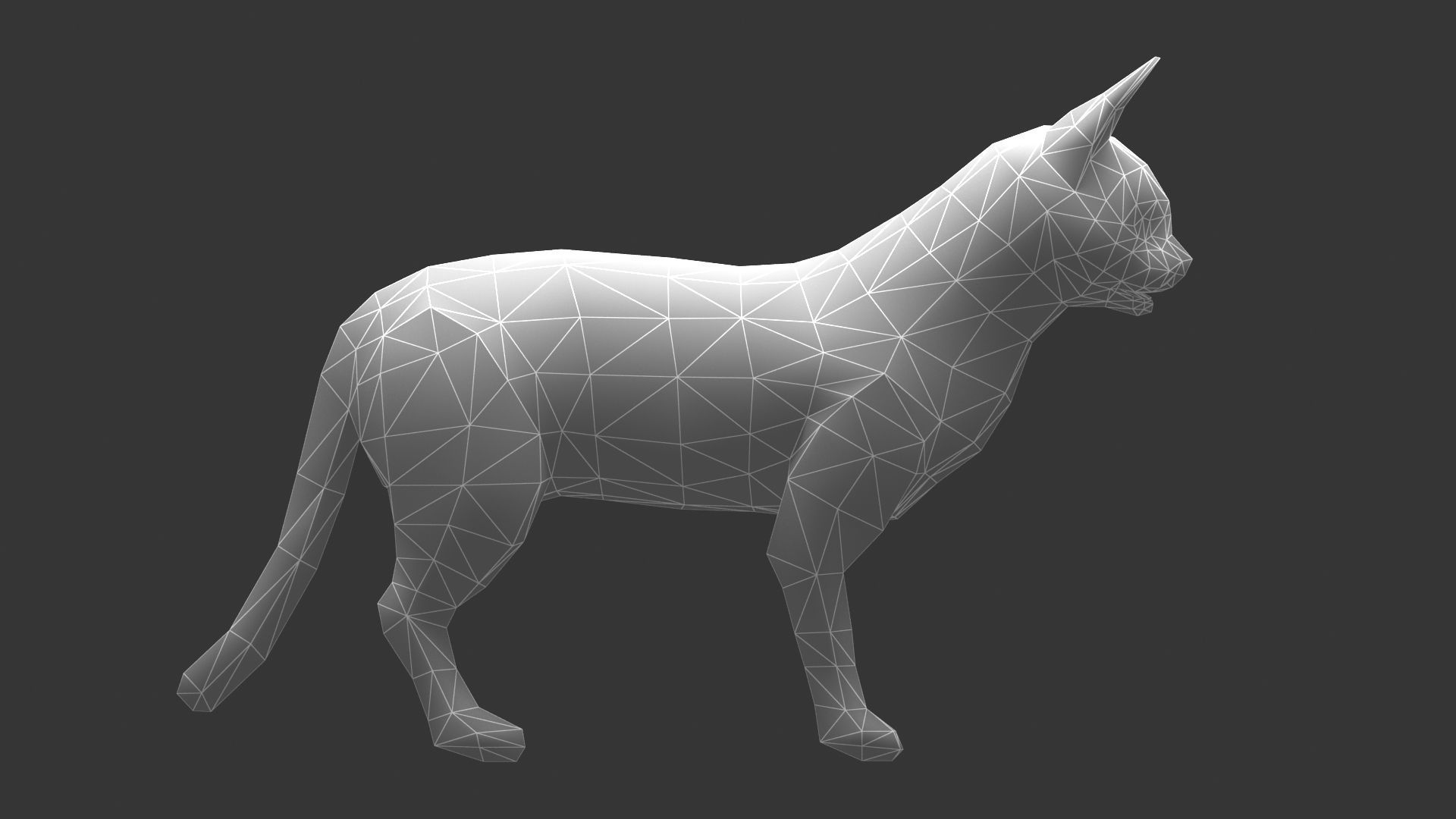 3D model animated siamese cat VR / AR / low-poly | CGTrader