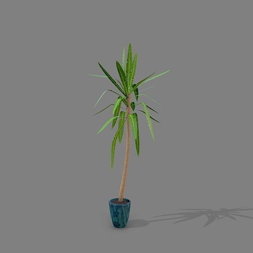 3D model Deco Plant VR / AR / low-poly | CGTrader