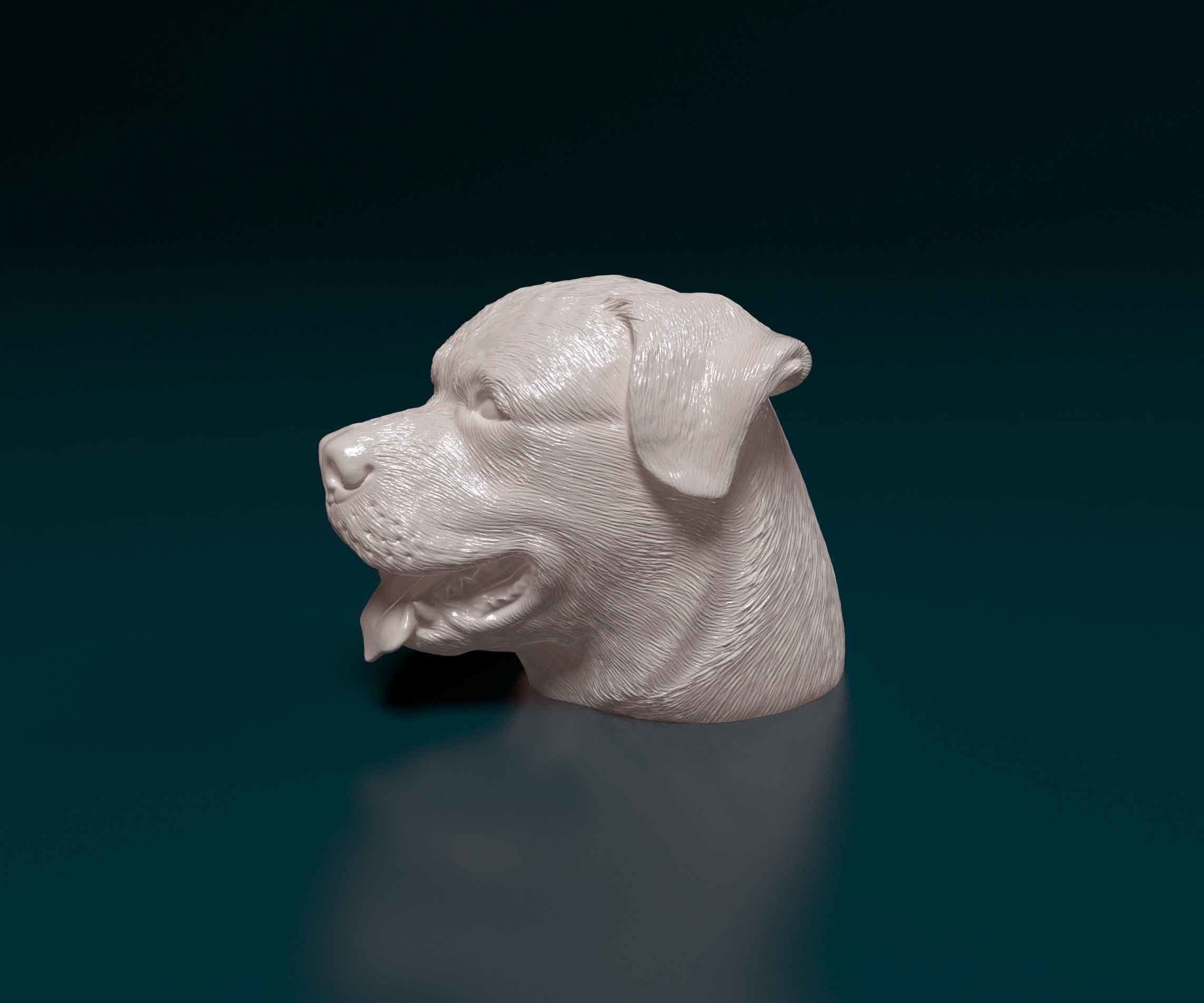Rottweiler head 3D model 3D printable | CGTrader