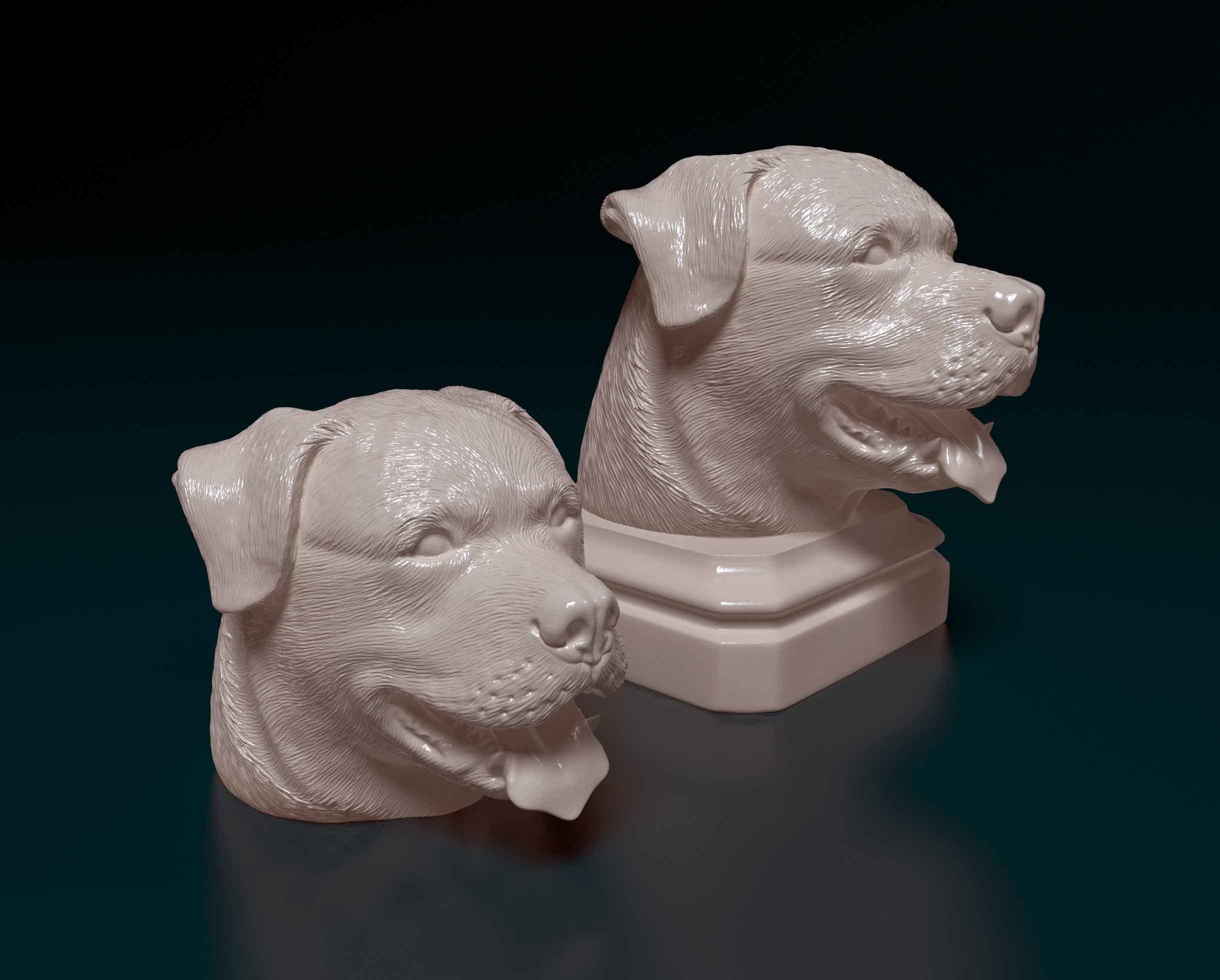 Rottweiler head 3D model 3D printable | CGTrader