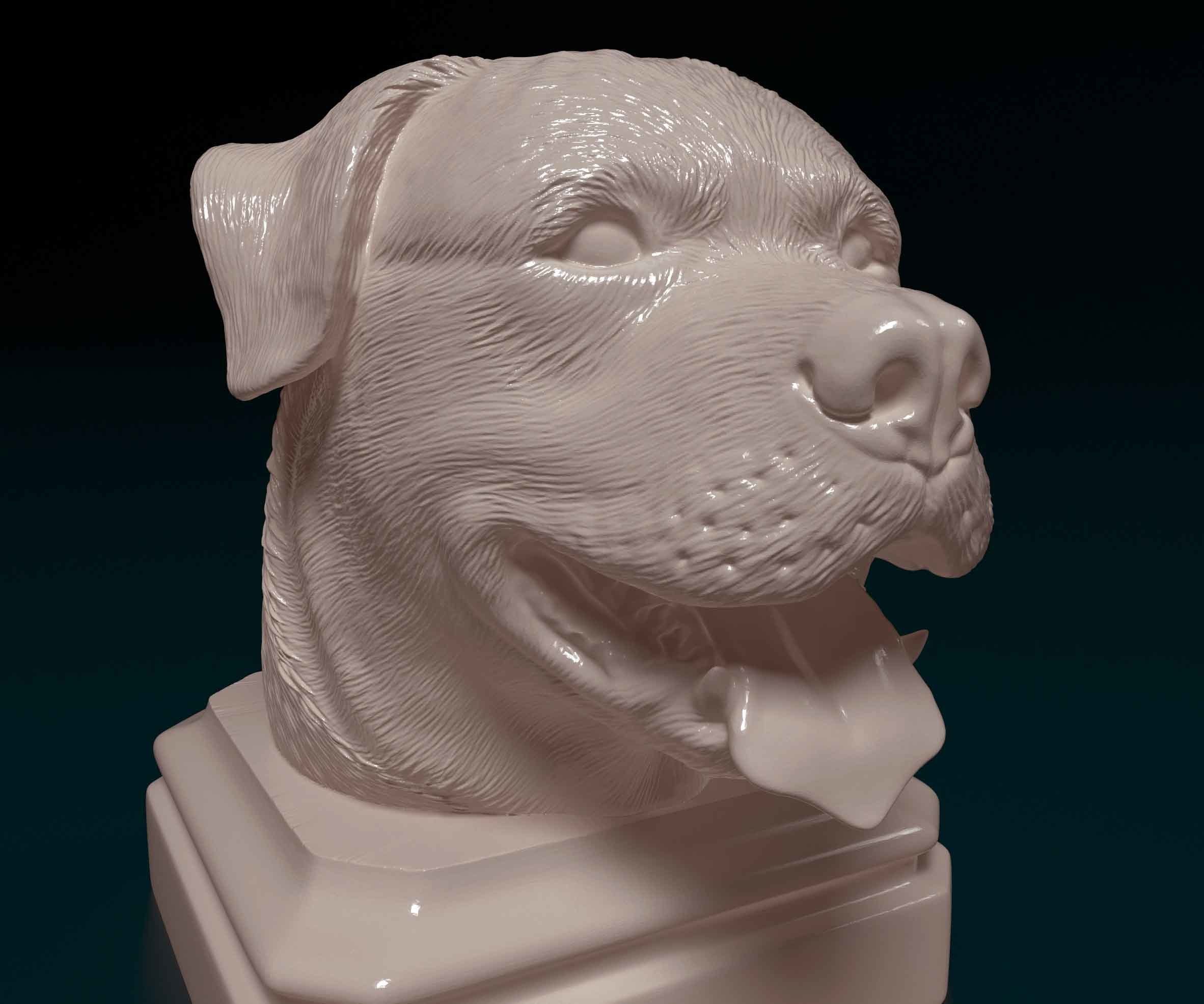 Rottweiler head 3D model 3D printable | CGTrader
