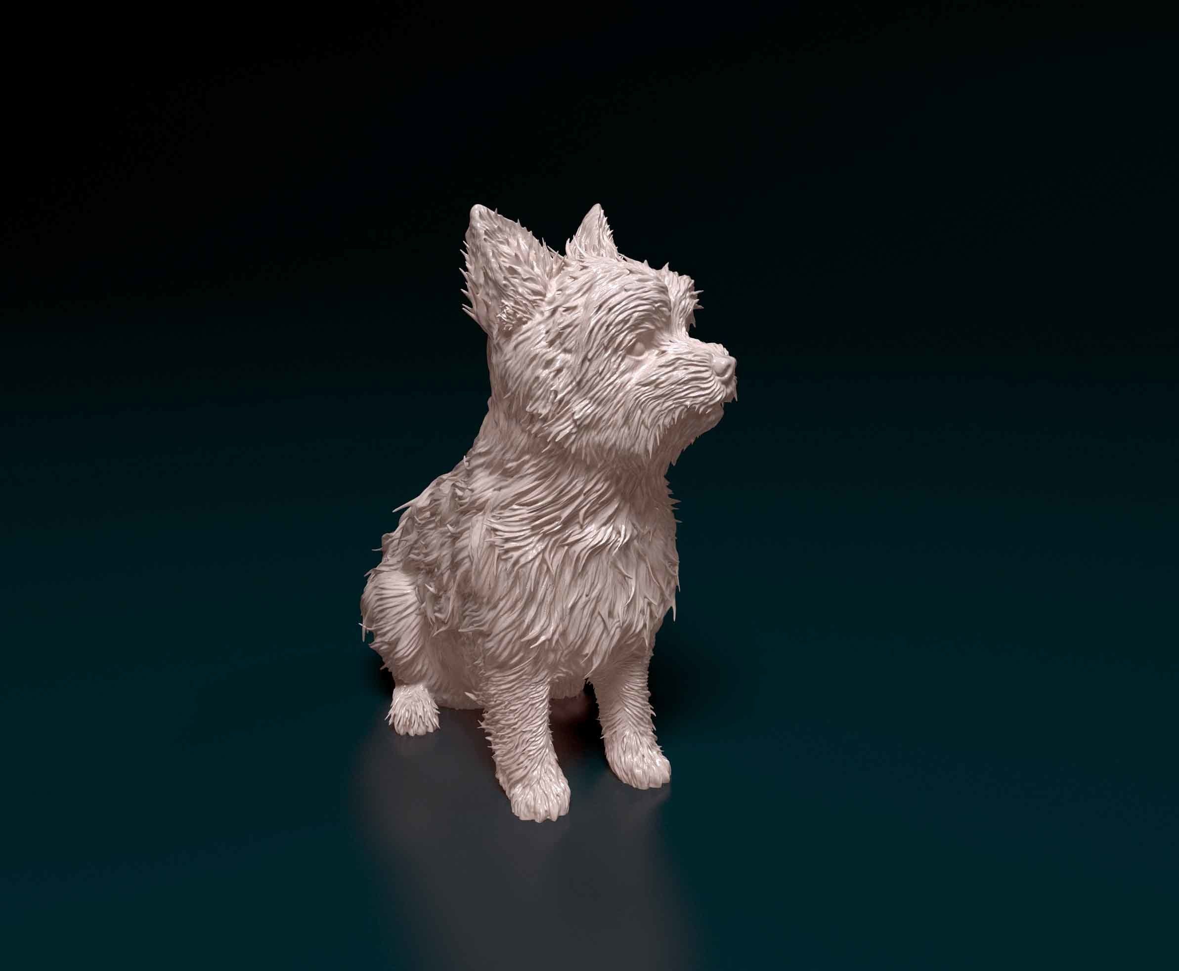 Yorkshire terrier 3D model 3D printable | CGTrader