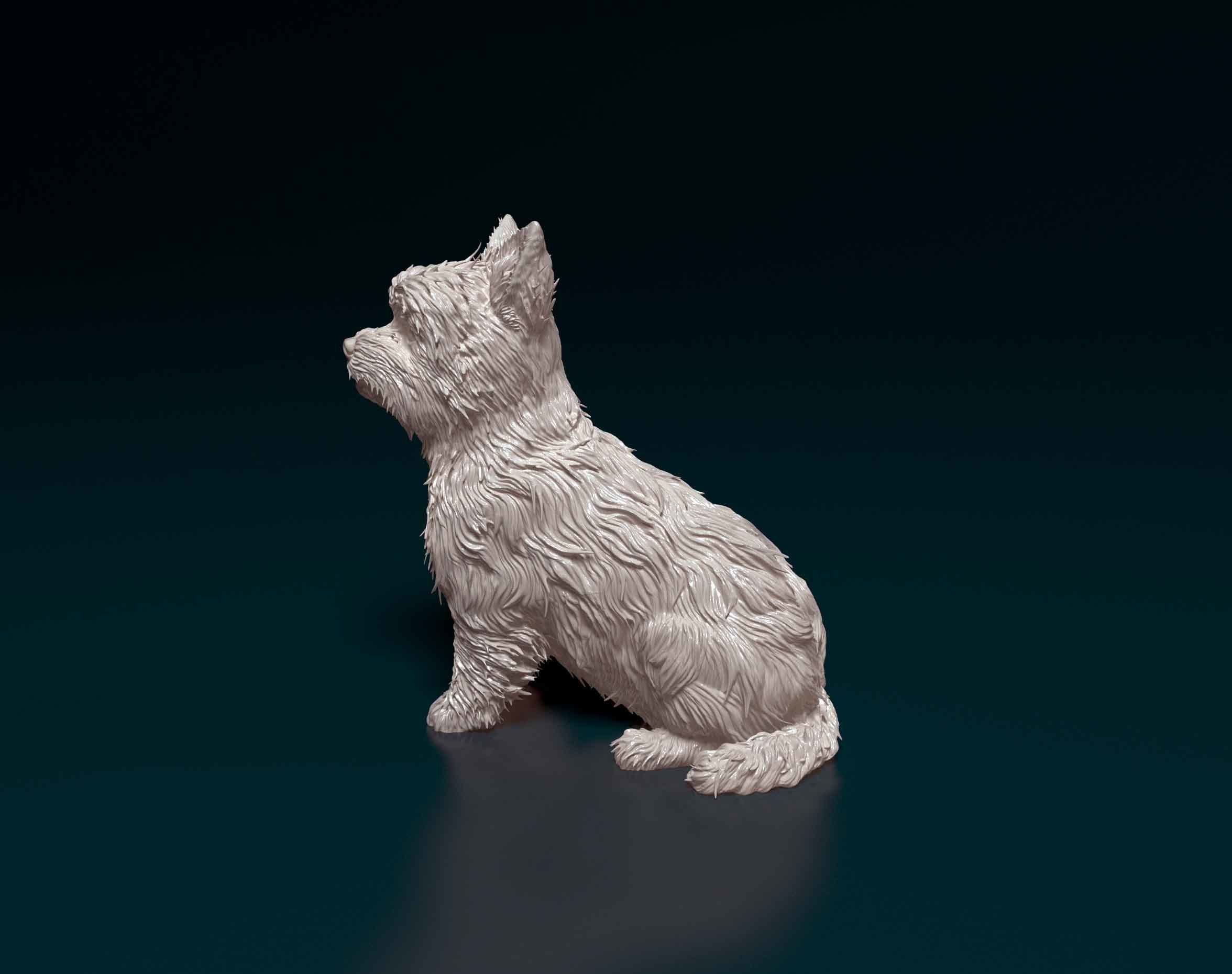 Yorkshire terrier 3D model 3D printable | CGTrader