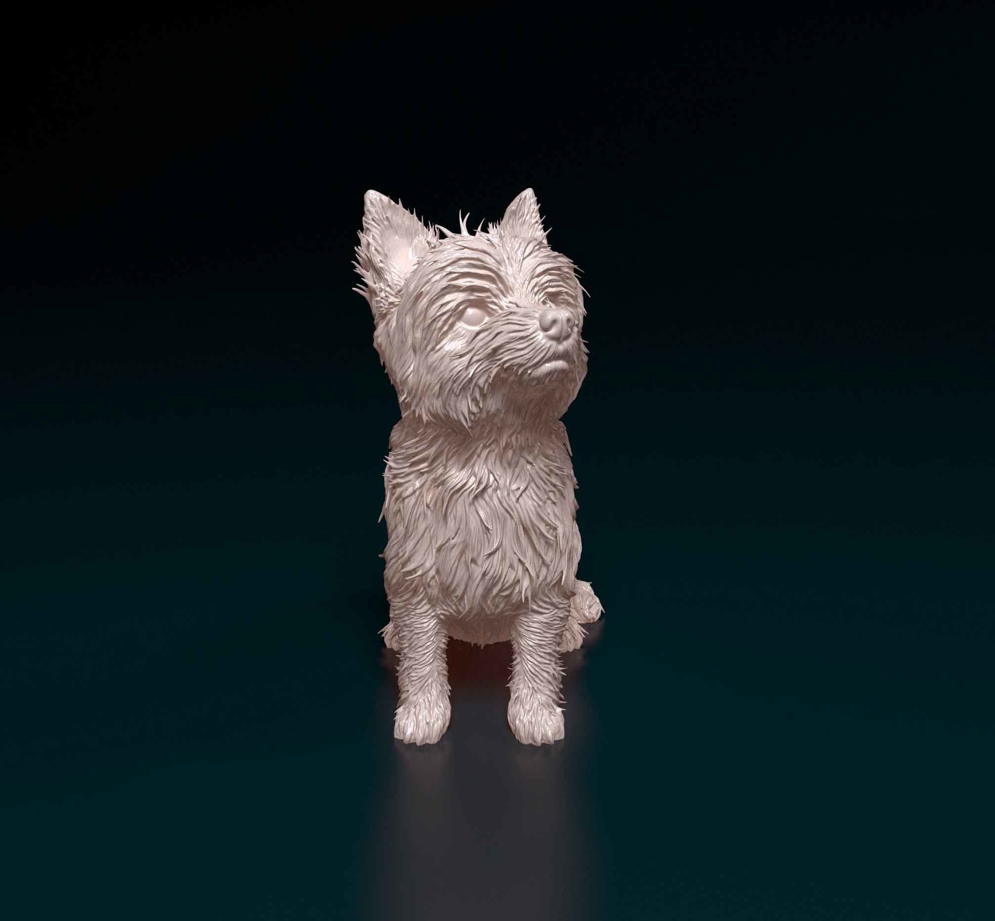 Yorkshire terrier 3D model 3D printable | CGTrader