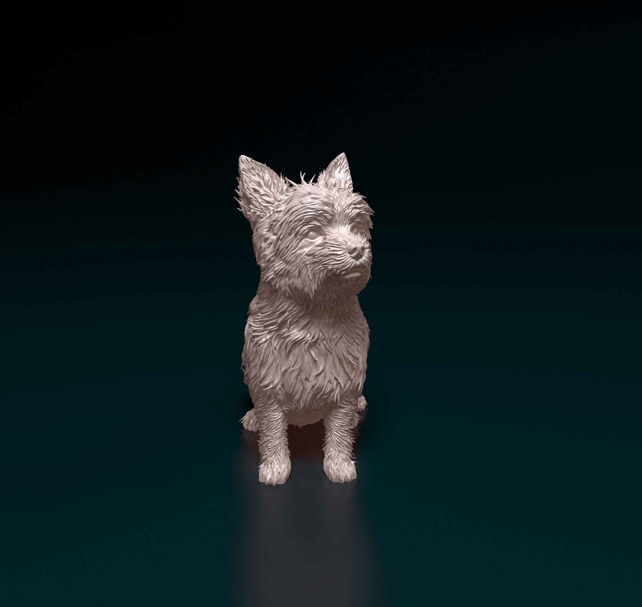 Yorkshire terrier 3D model 3D printable | CGTrader