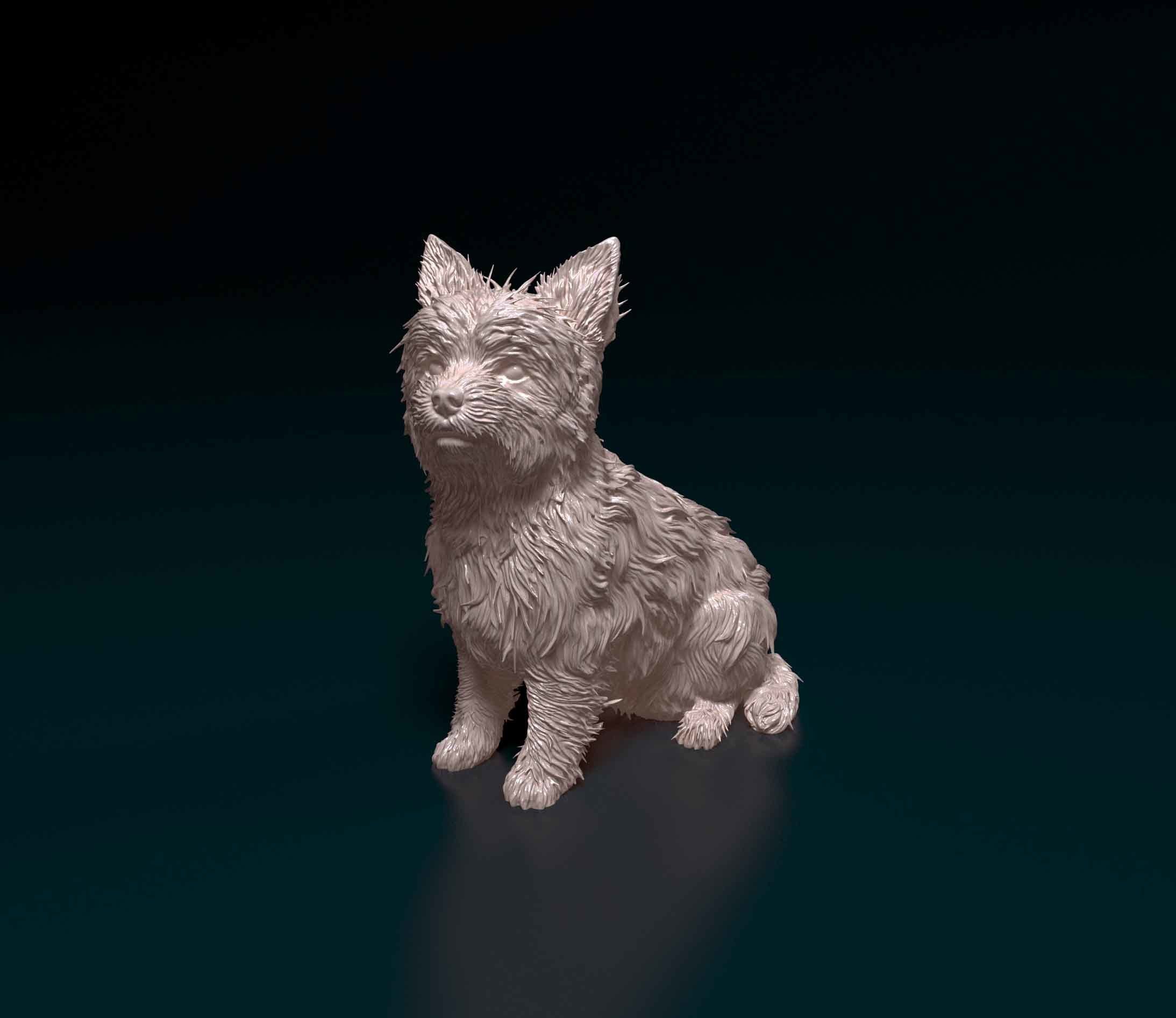 Yorkshire terrier 3D model 3D printable | CGTrader