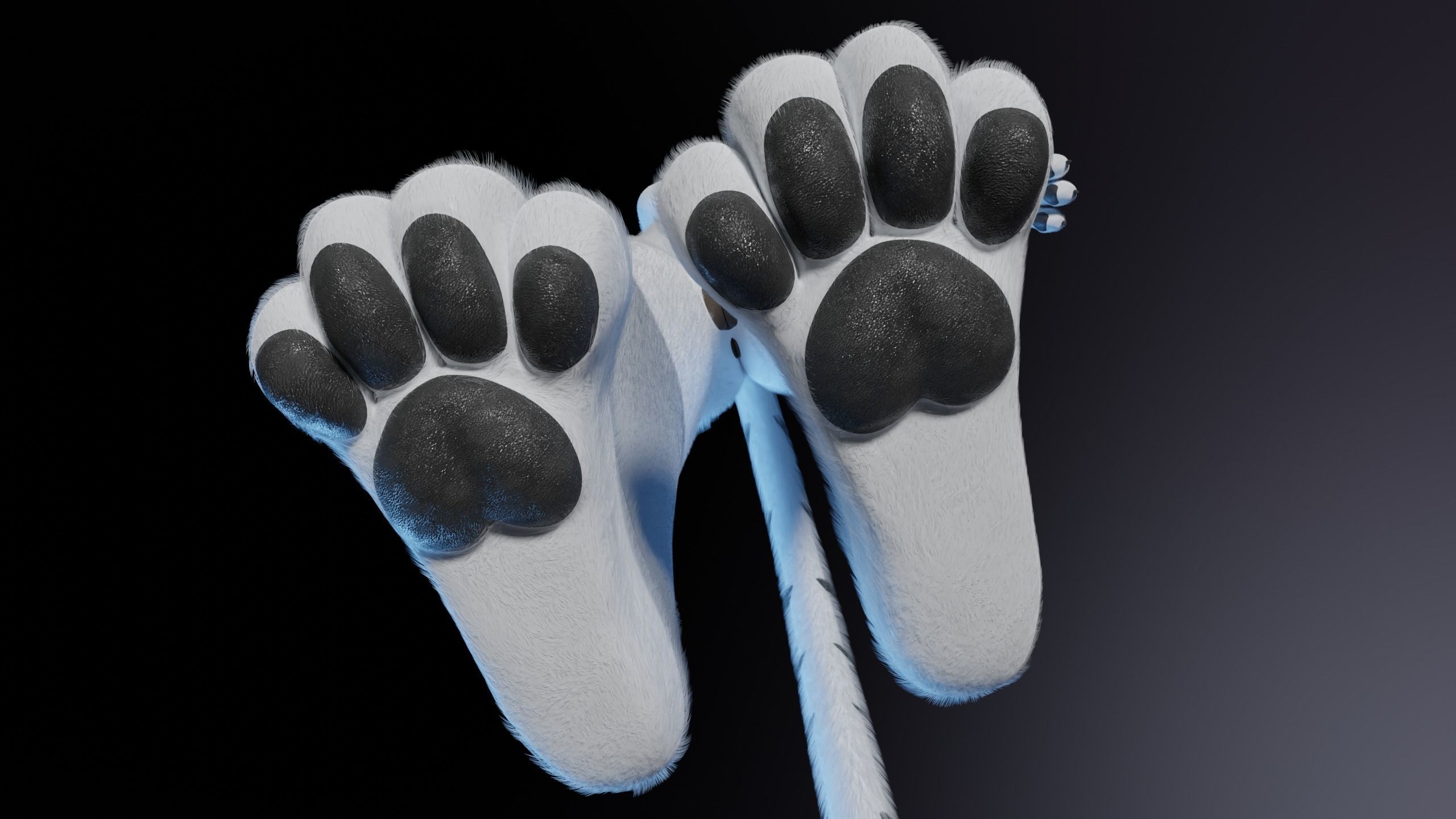 Darla Anthro Cat 3d Model Rigged Cgtrader