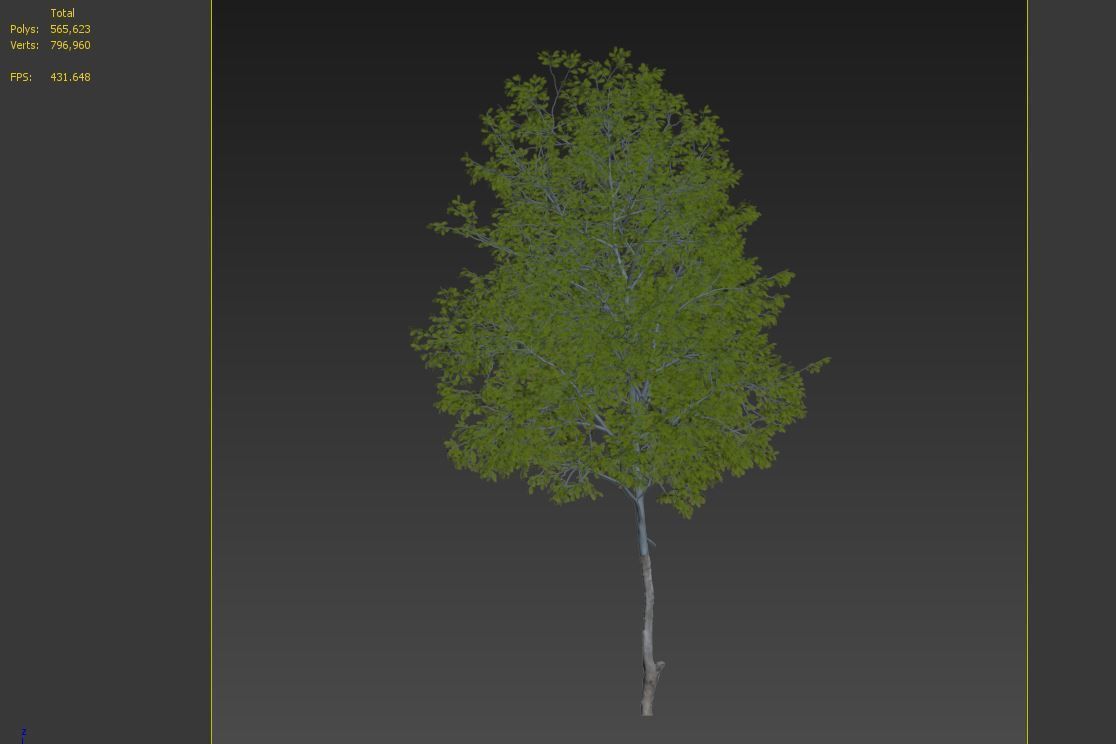 Oak tree 3D model | CGTrader