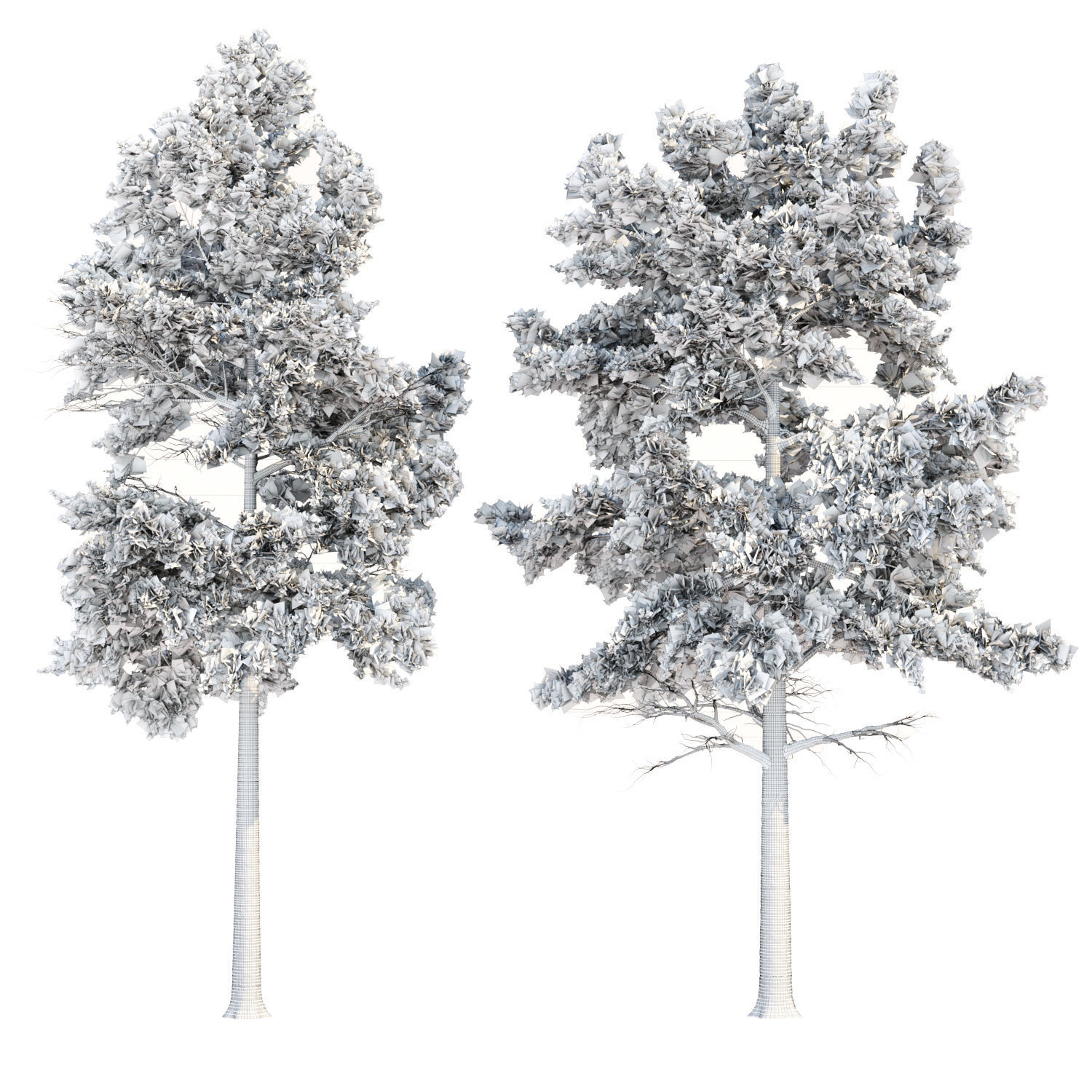 Conifer trees collection vol 130 3D model | CGTrader