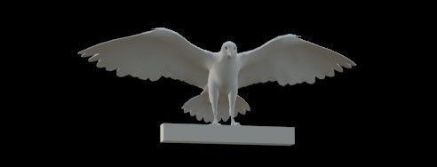 Burung Elang 3D model | CGTrader