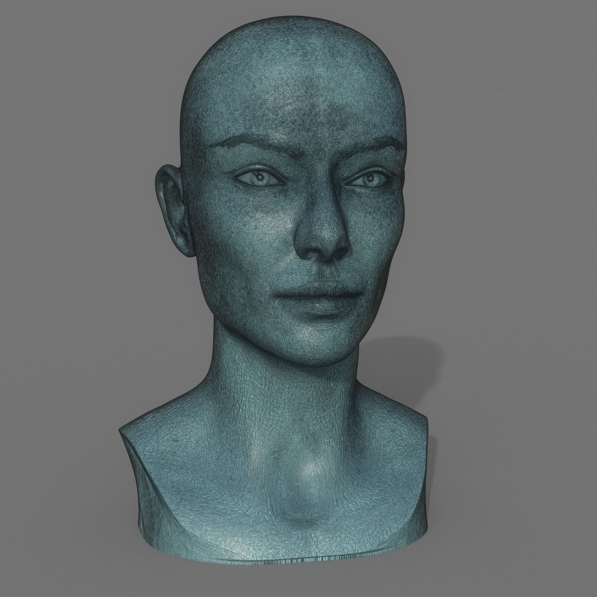 Woman Head Print Ready 3D model | CGTrader