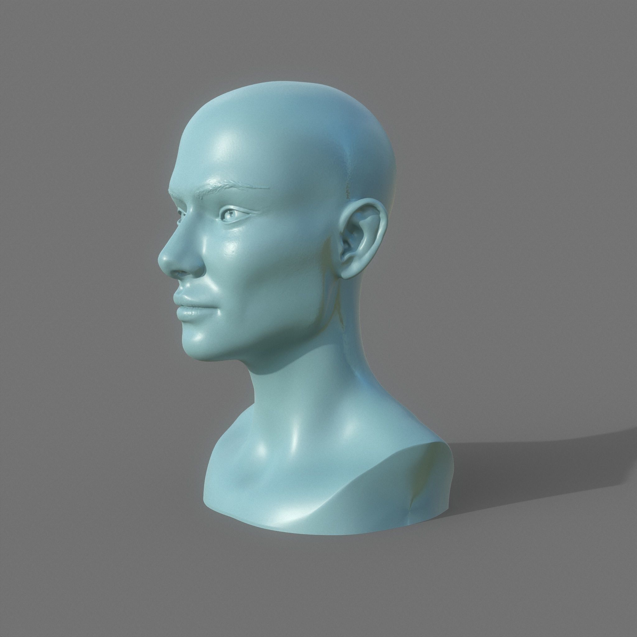 Woman Head Print Ready 3D model | CGTrader