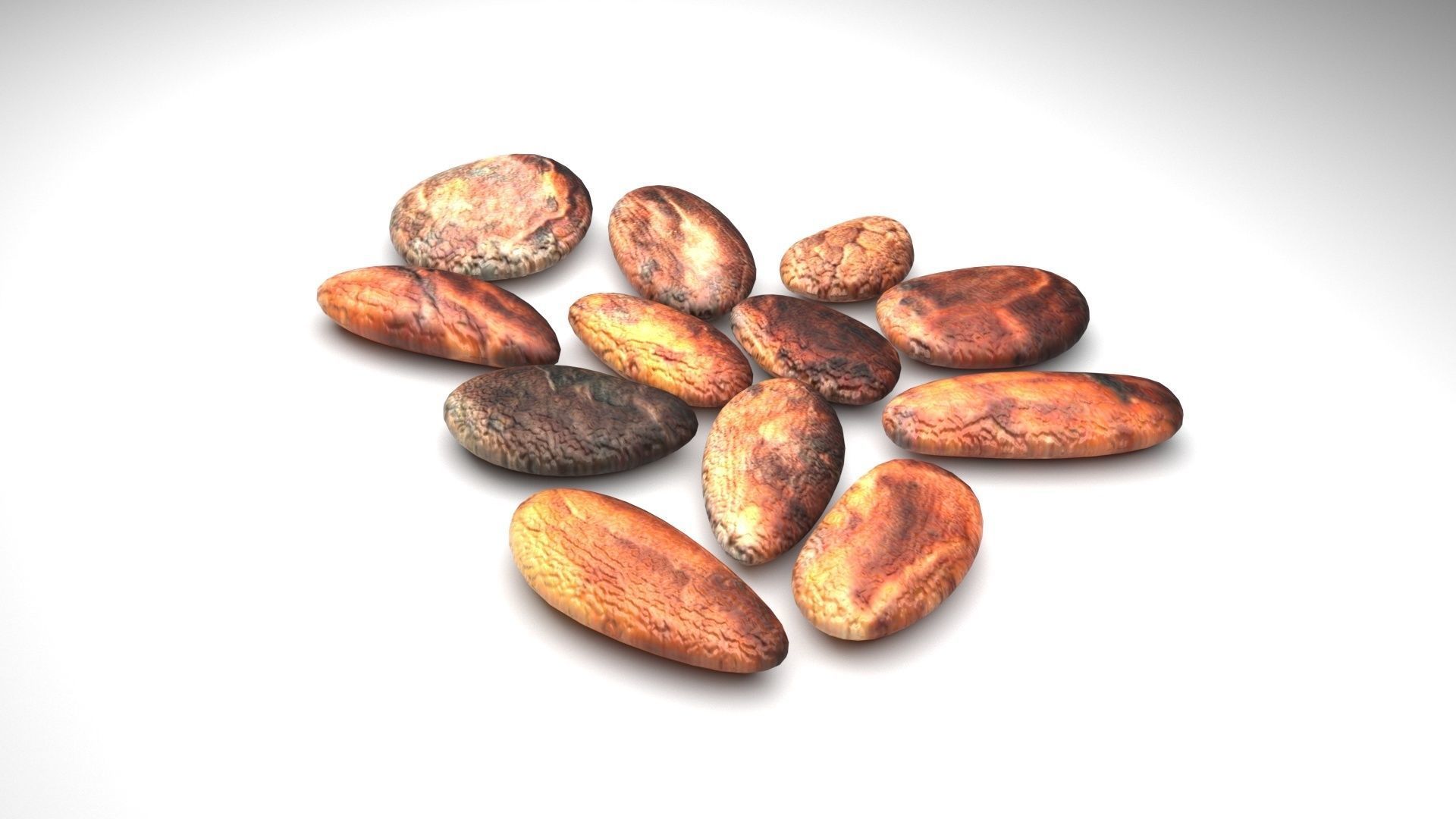 Cocoa Beans 3D model | CGTrader