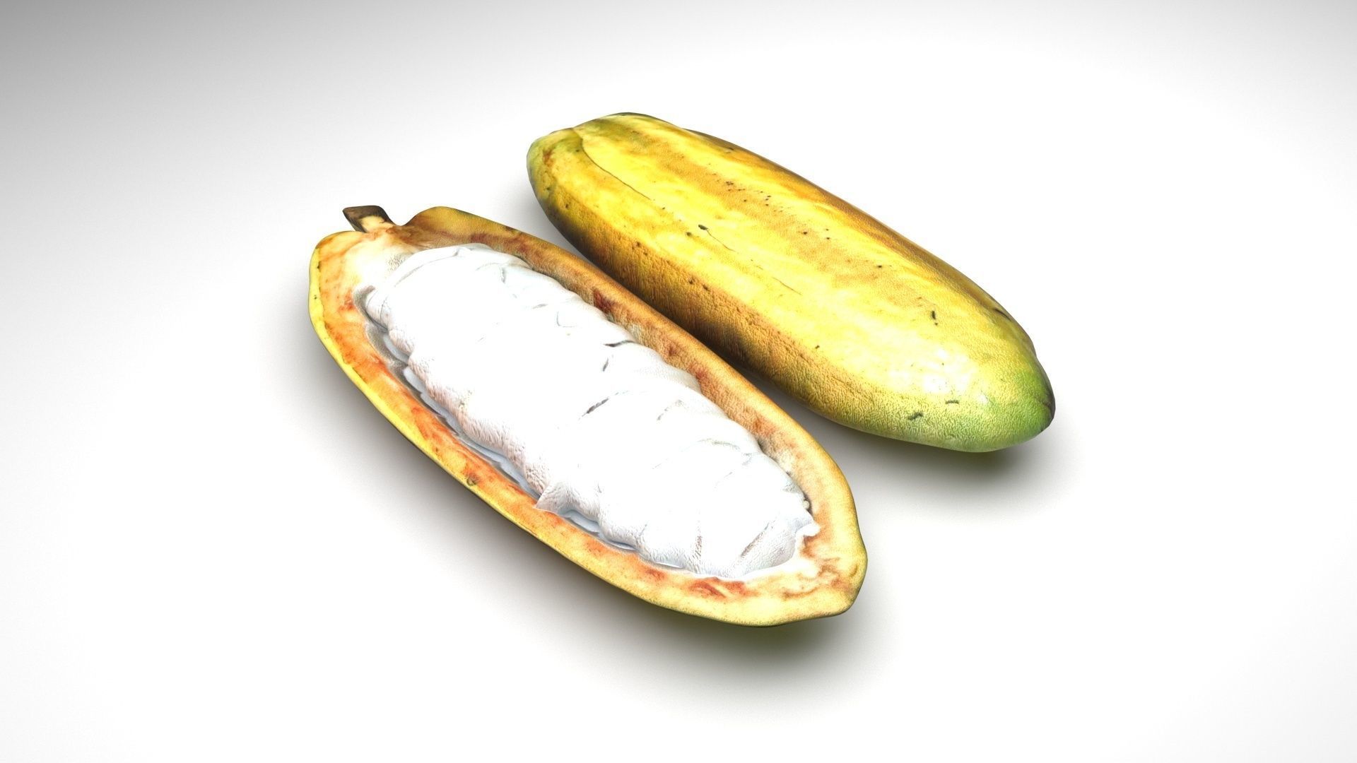 Opened and Unripe Cocoa Fruit 3D model | CGTrader