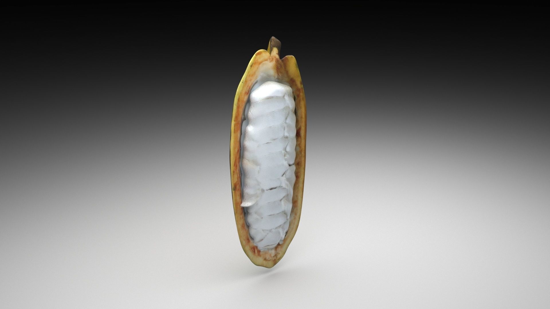 Opened and Unripe Cocoa Fruit 3D model | CGTrader