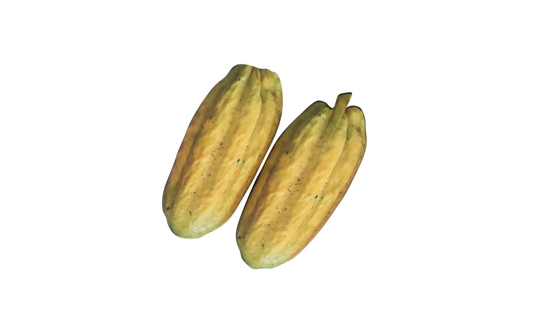 Opened and Unripe Cocoa Fruit 3D model | CGTrader