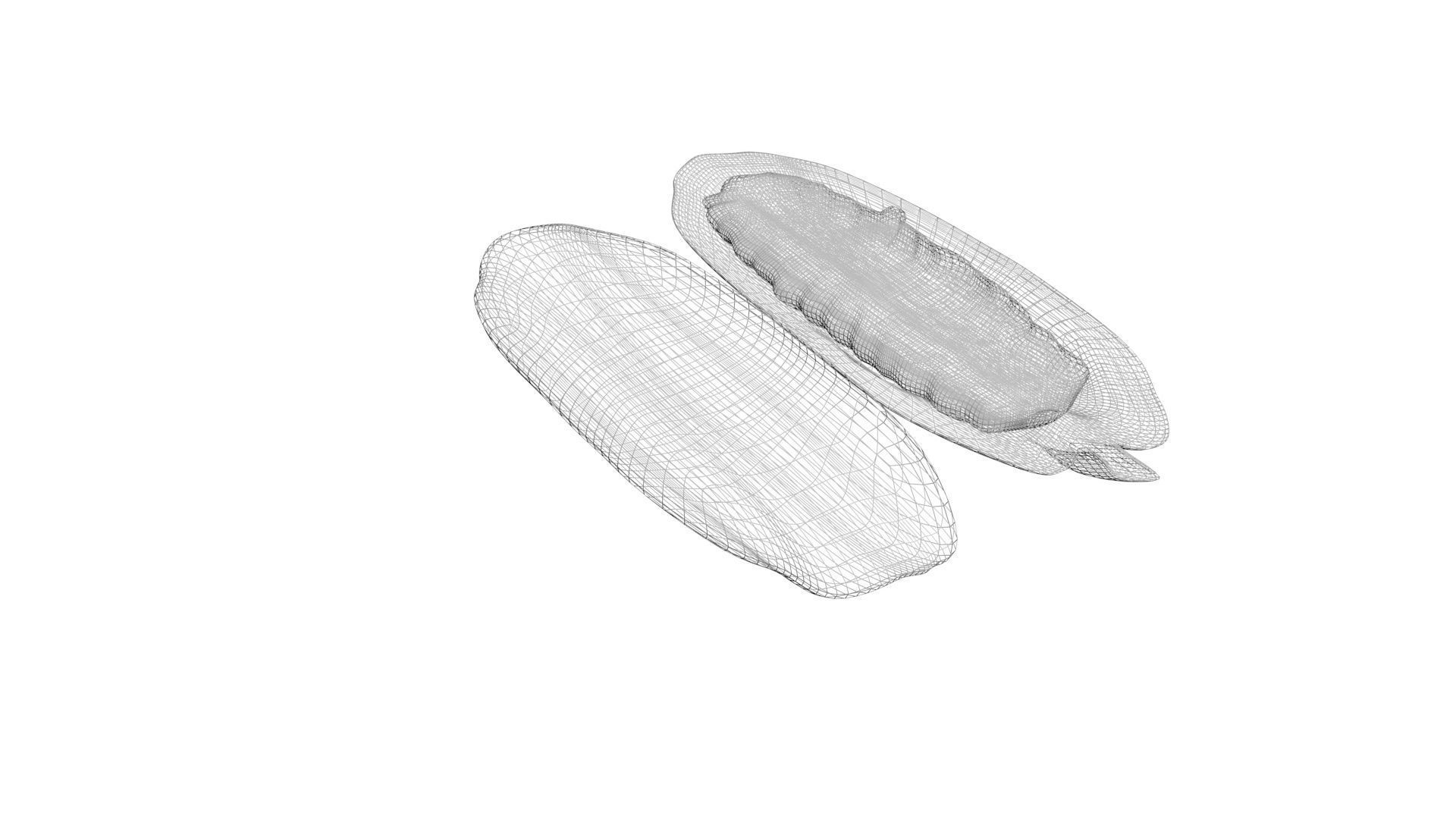 Opened and Unripe Cocoa Fruit 3D model | CGTrader