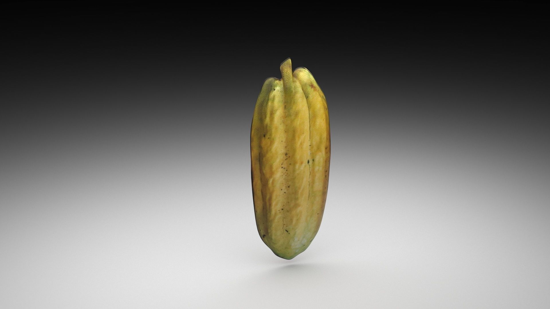 Opened and Unripe Cocoa Fruit 3D model | CGTrader
