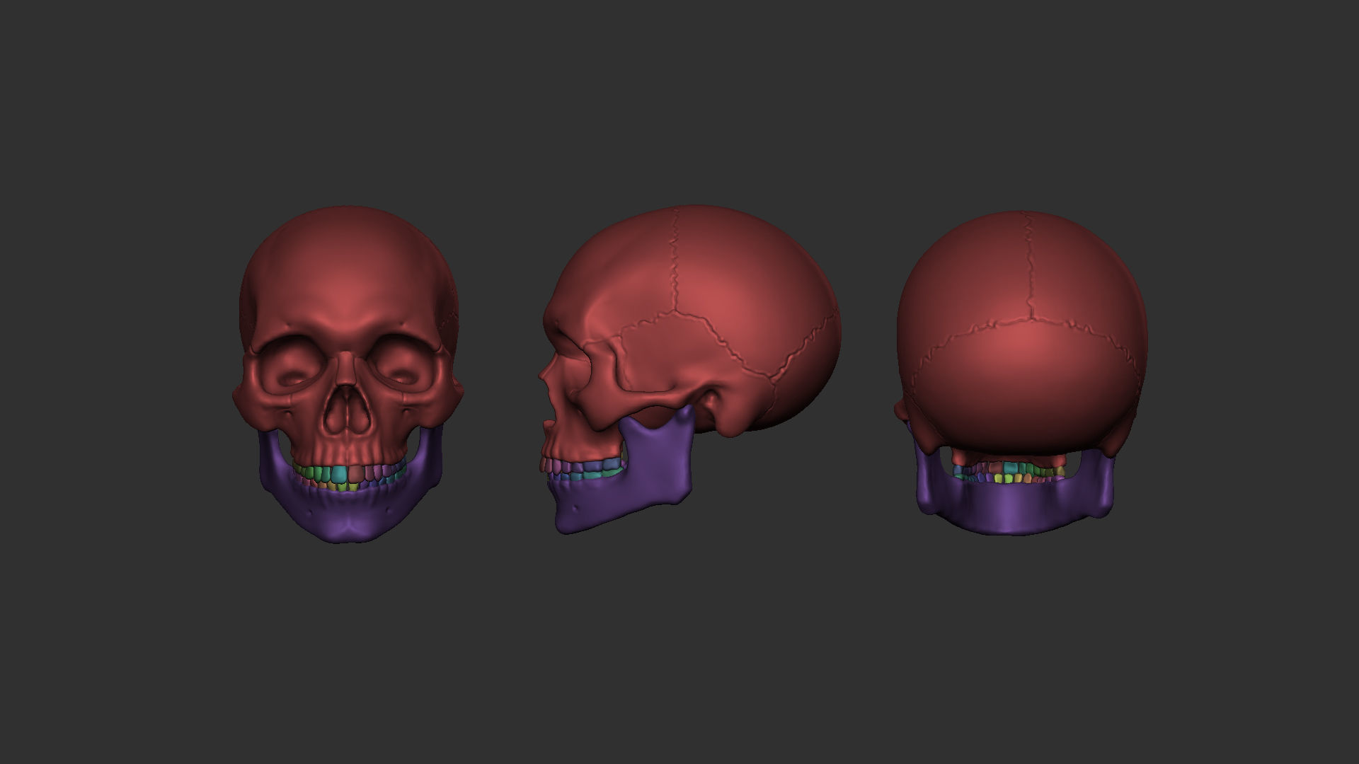 Skull glowing 3D model | CGTrader