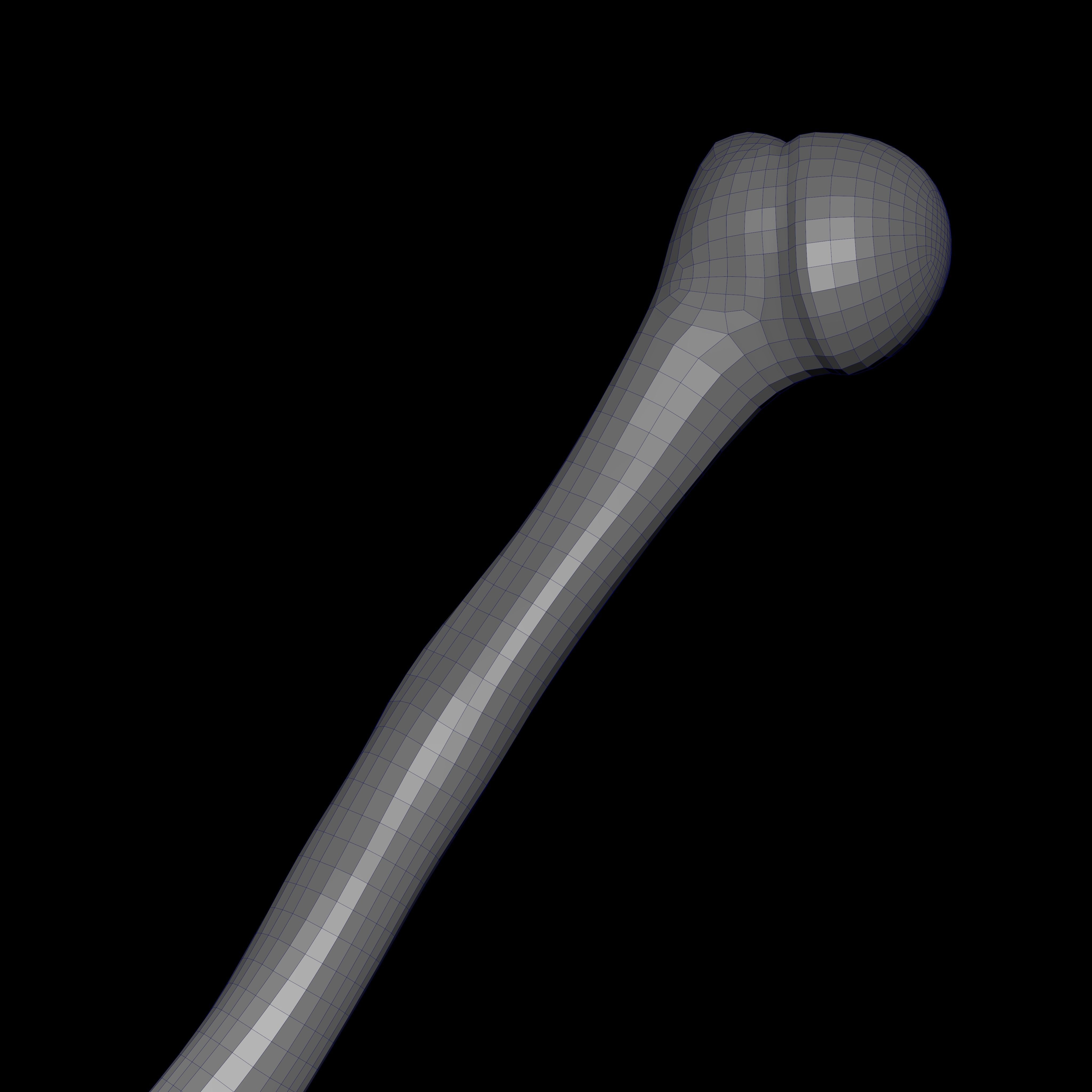 3D model Human Arm Bones - Homerus - Ulna - Radius - Hand VR / AR / low ...