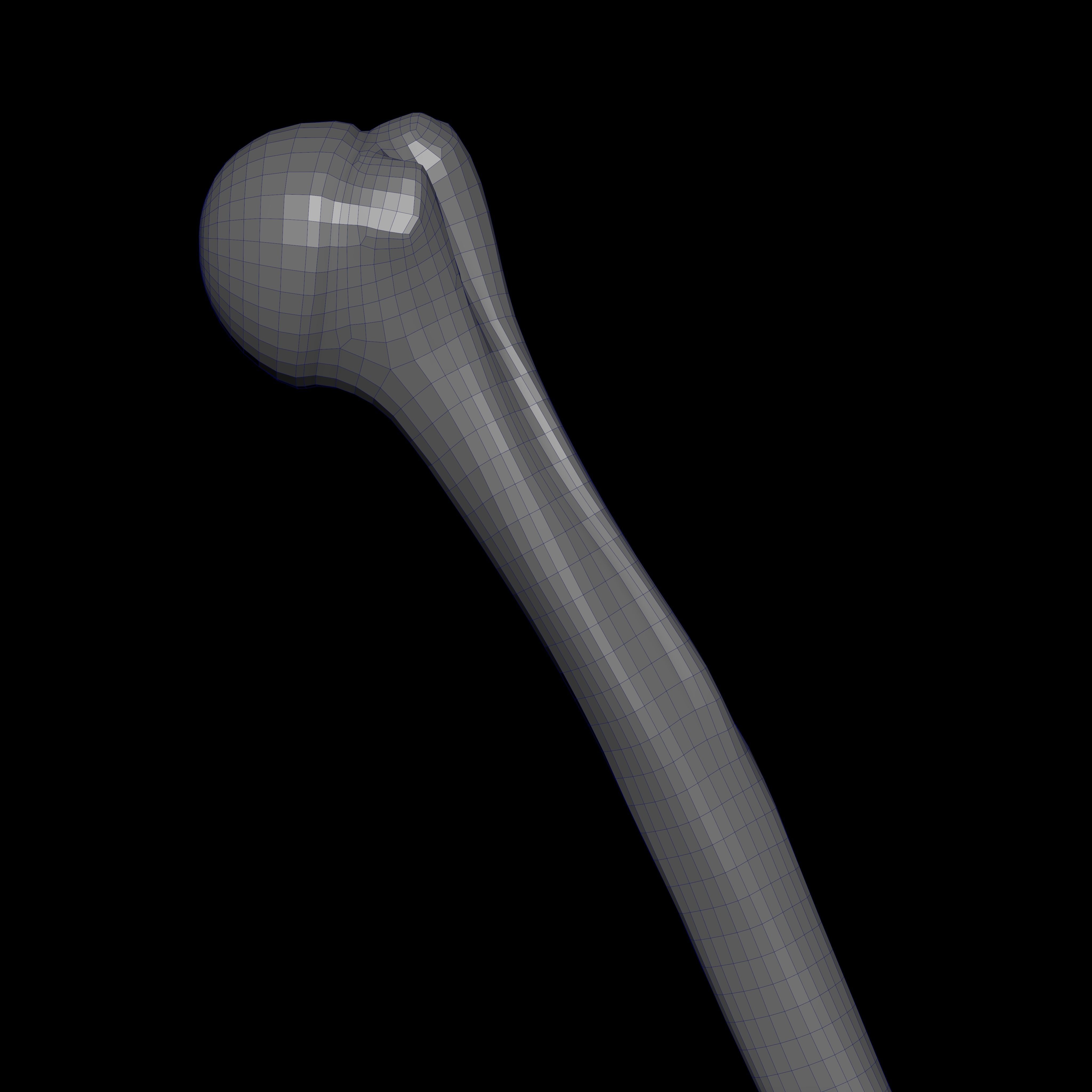 3D model Human Arm Bones - Homerus - Ulna - Radius - Hand VR / AR / low ...