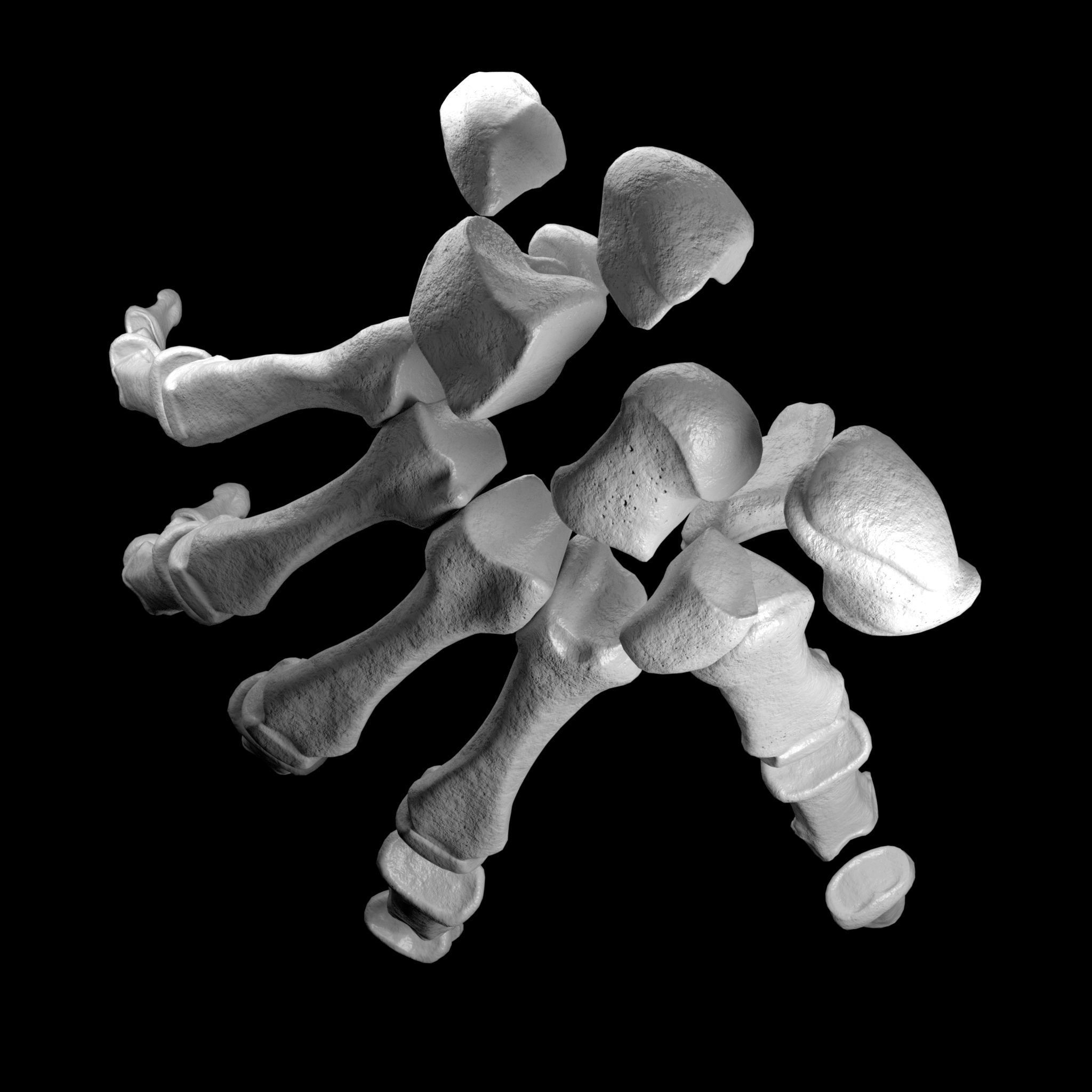 3D model Human Hand Bones VR / AR / low-poly | CGTrader