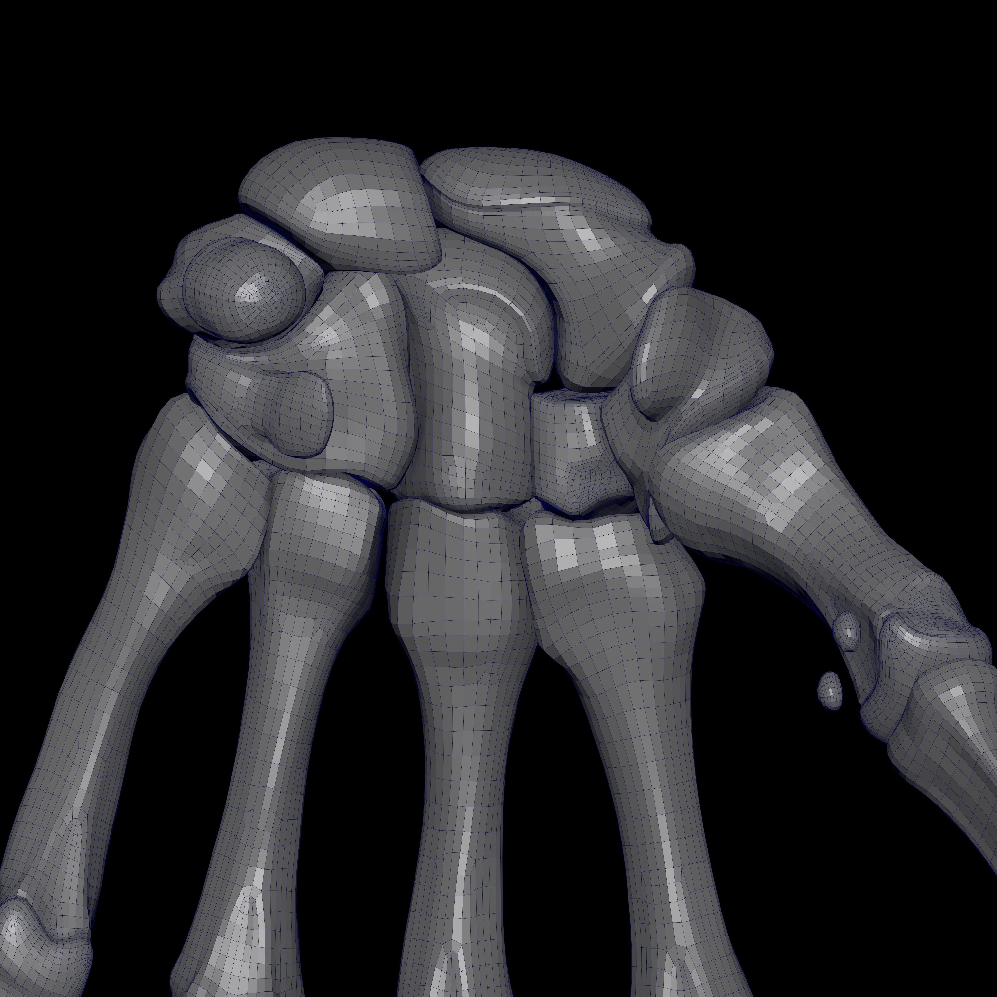 3D model Human Hand Bones VR / AR / low-poly | CGTrader