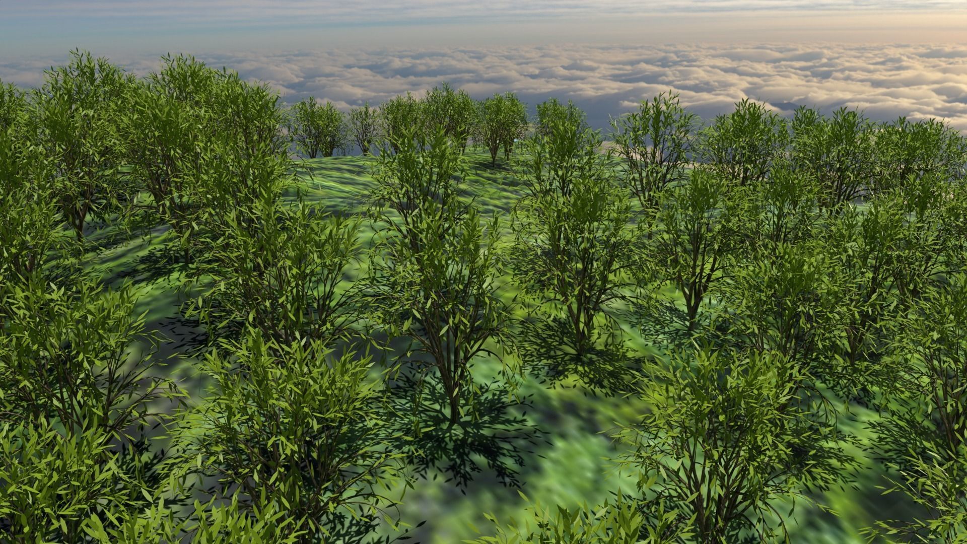 3D model Forest Mountain VR / AR / low-poly | CGTrader