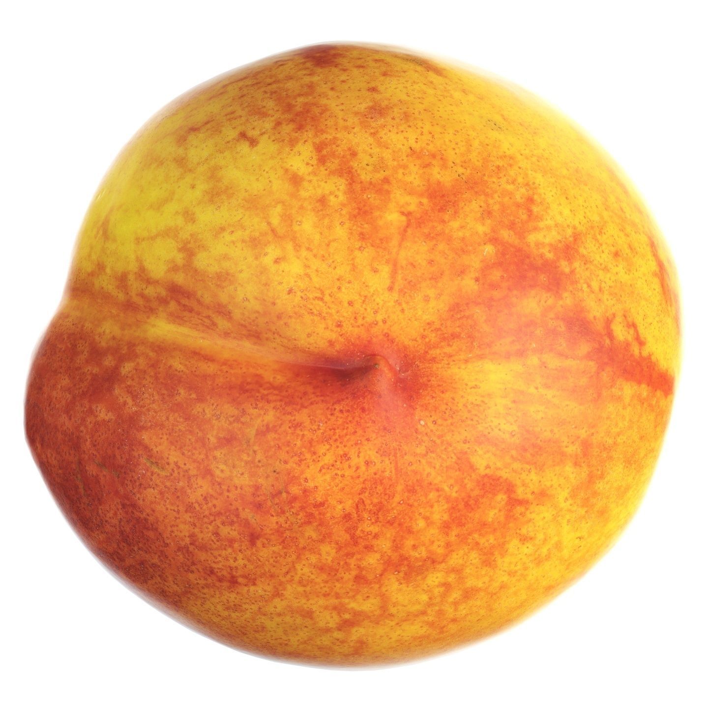 4k nectarine peach 3D model | CGTrader