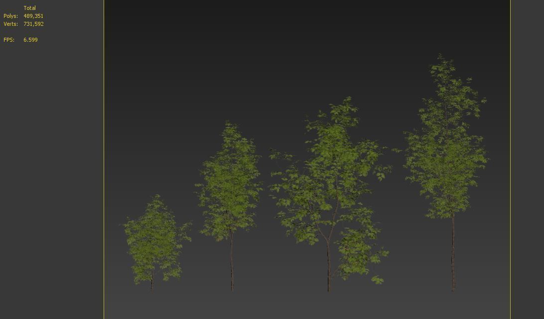 Oak sapling 3D model | CGTrader