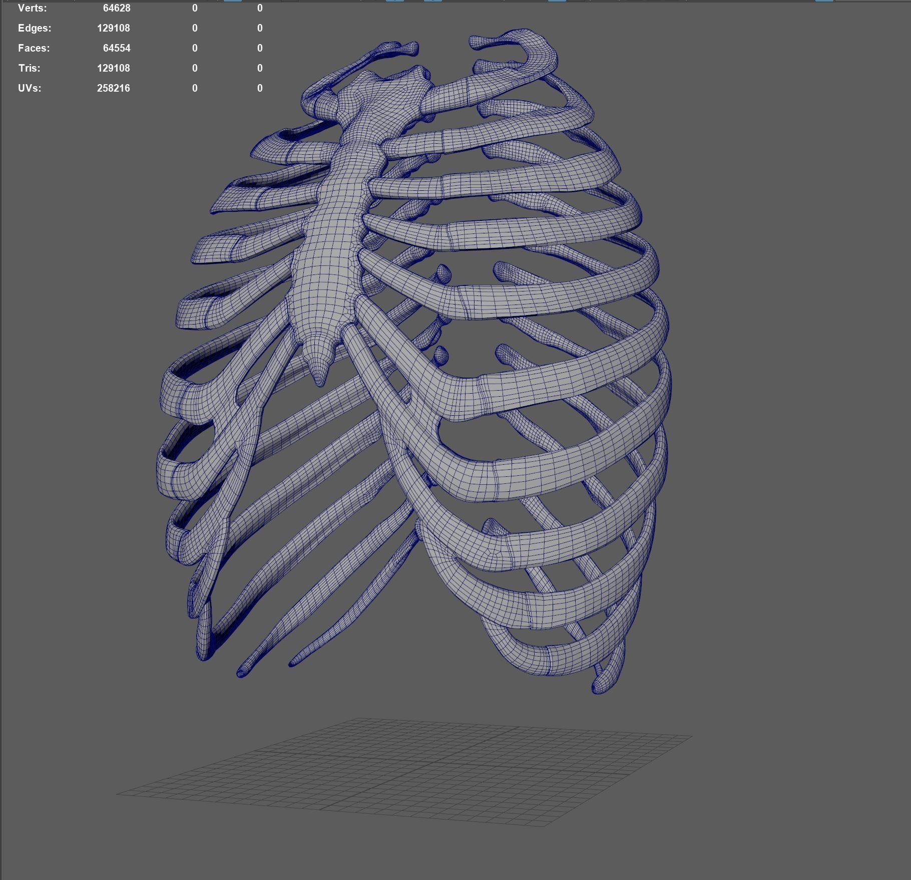 3D model Human Ribcage - Ribs VR / AR / low-poly | CGTrader