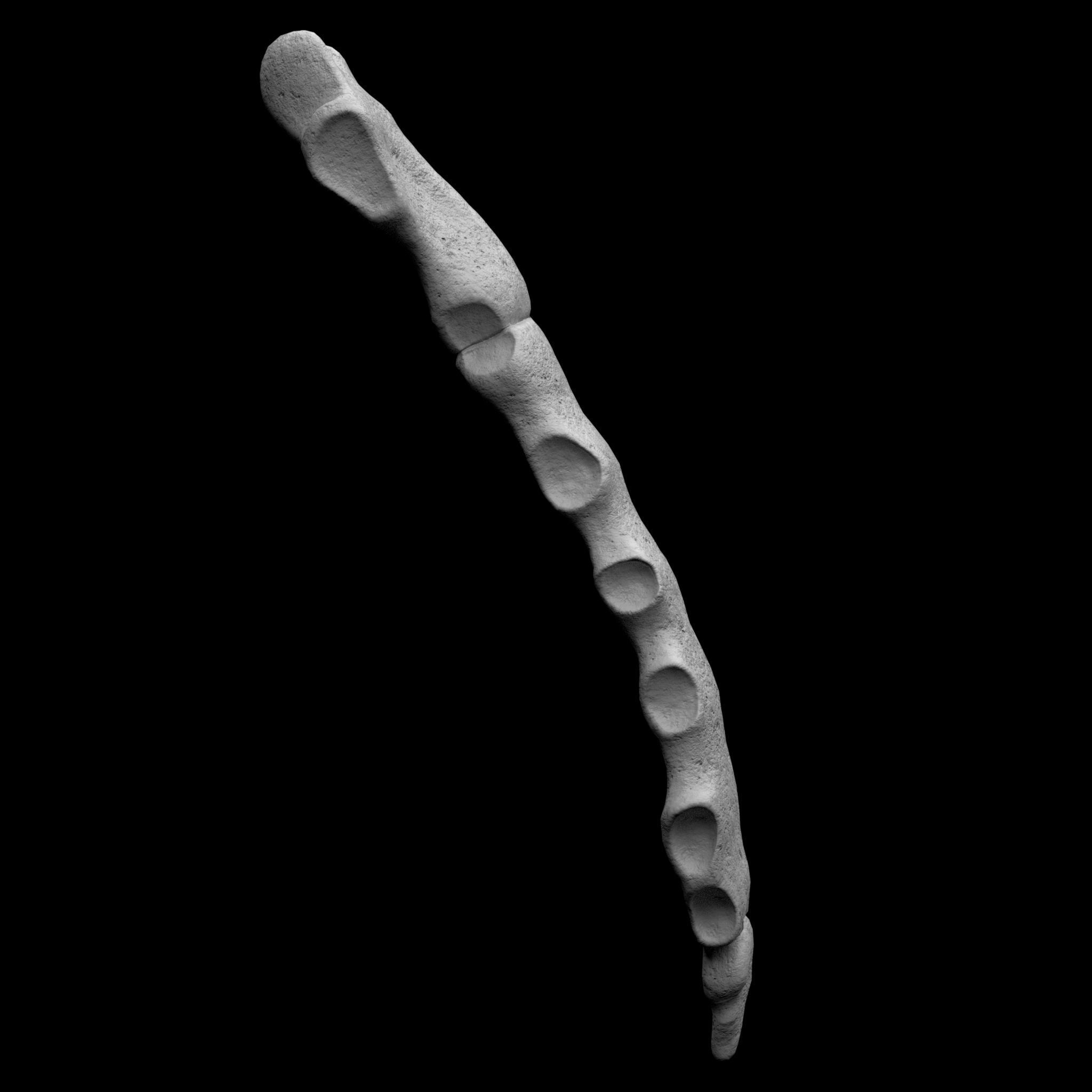 3D model Human Ribcage - Ribs VR / AR / low-poly | CGTrader