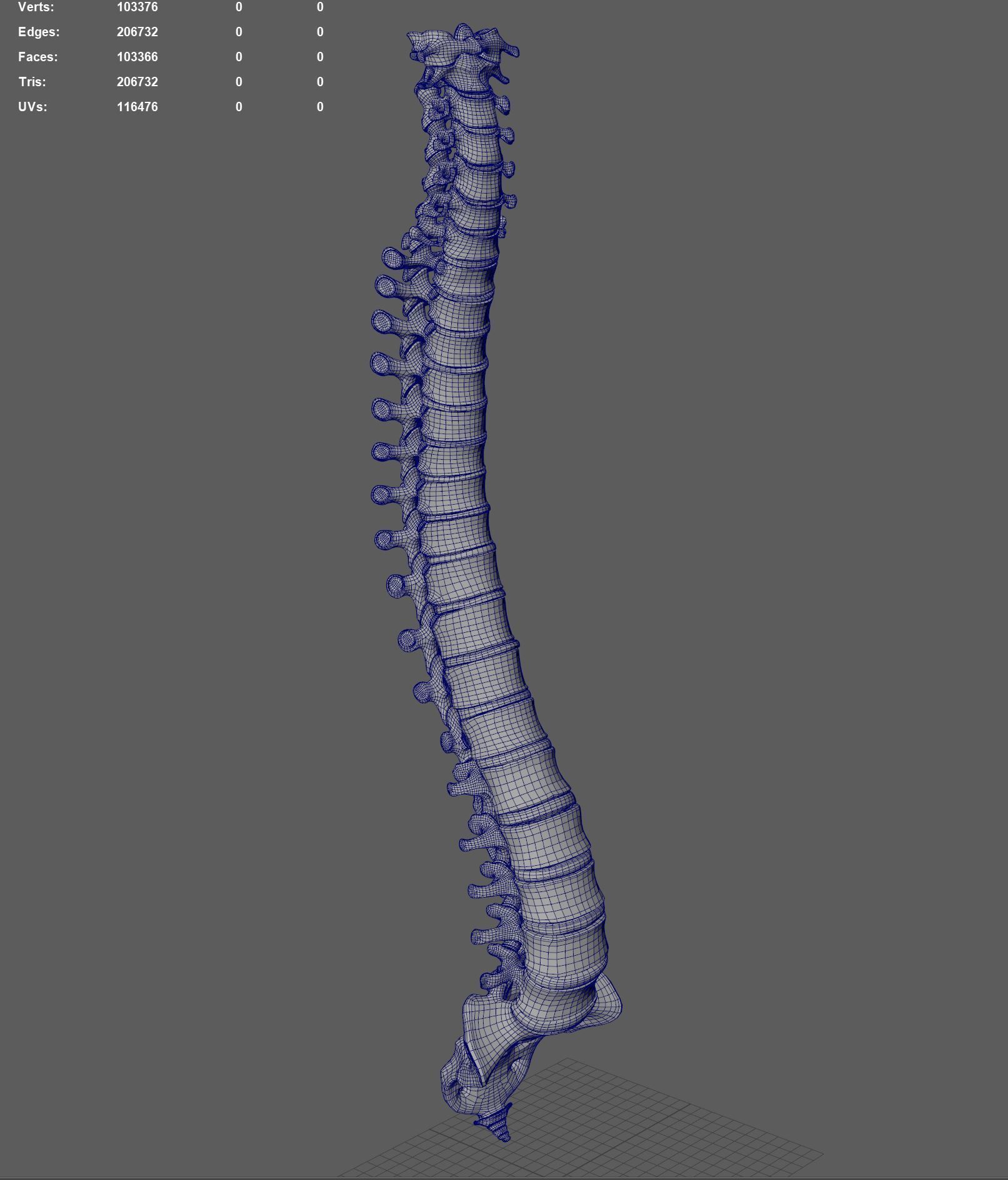 3D model Human Spine - Spine Bones VR / AR / low-poly | CGTrader