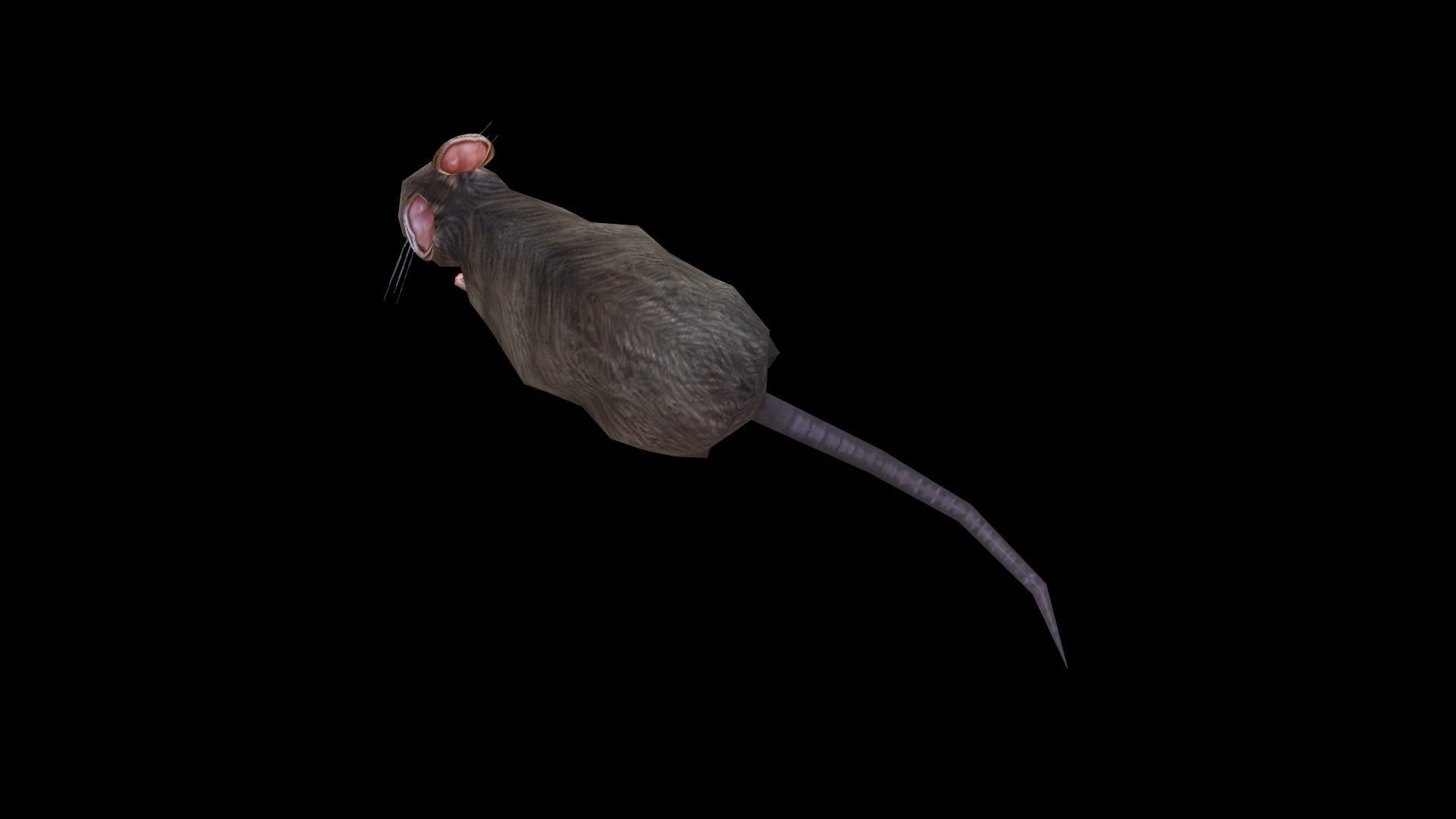 3D model low-poly animated mouse rat VR / AR / low-poly | CGTrader