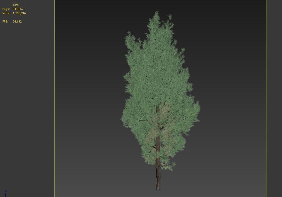 cypress tree 05 3D model | CGTrader